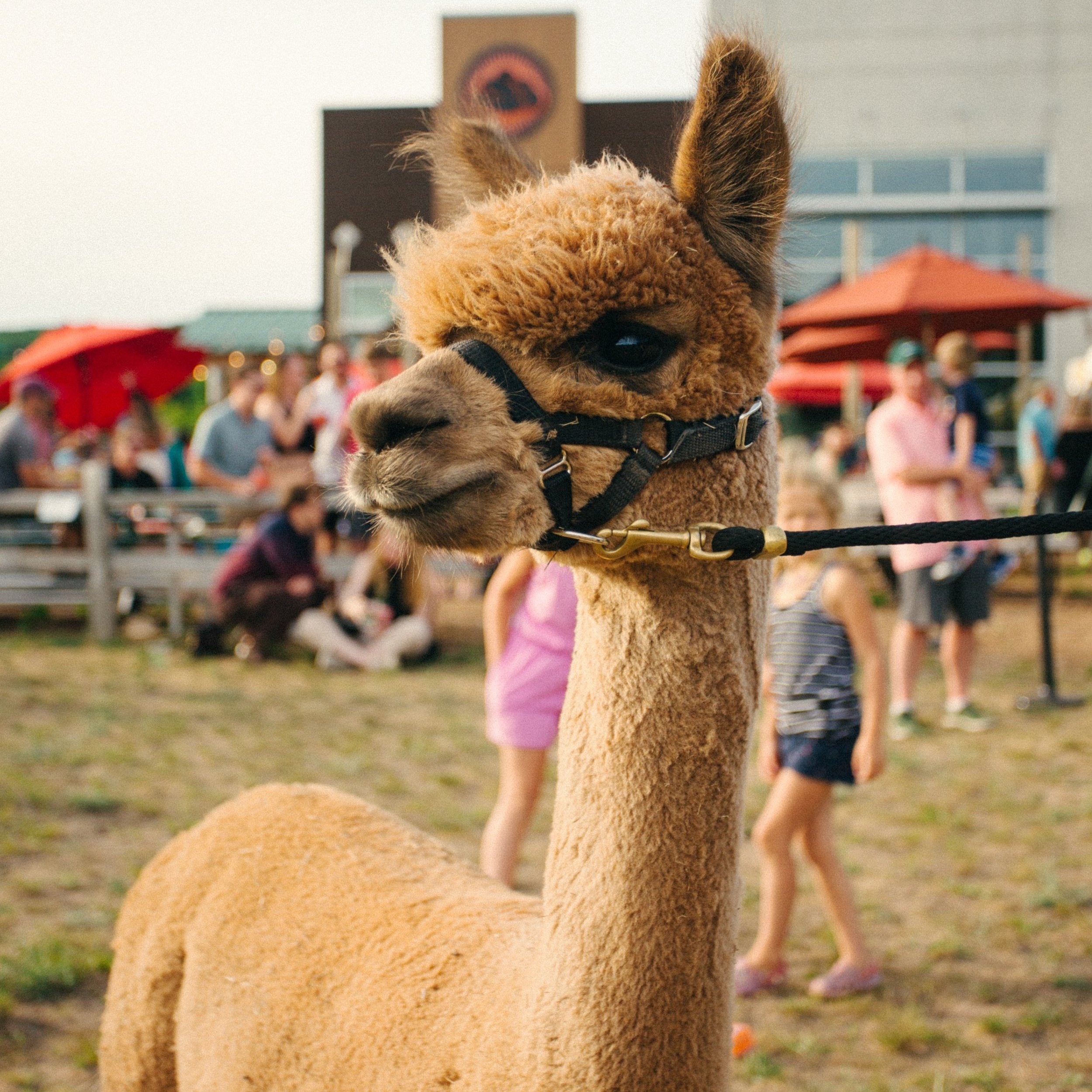 Events & Music — Stormcloud Brewing Company