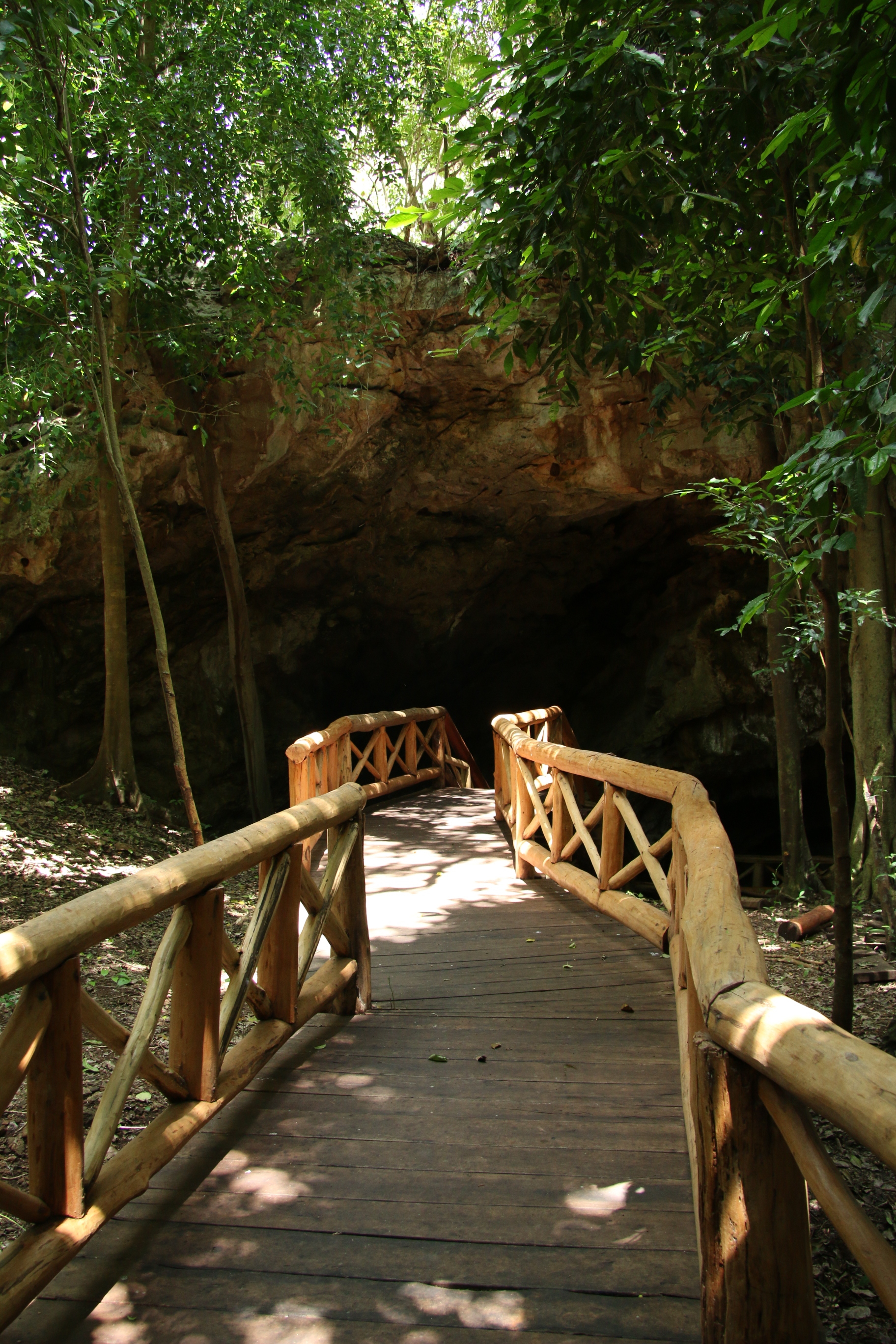Three Cenotes and Lunch — Best Tours in Progreso, Merida and the ...