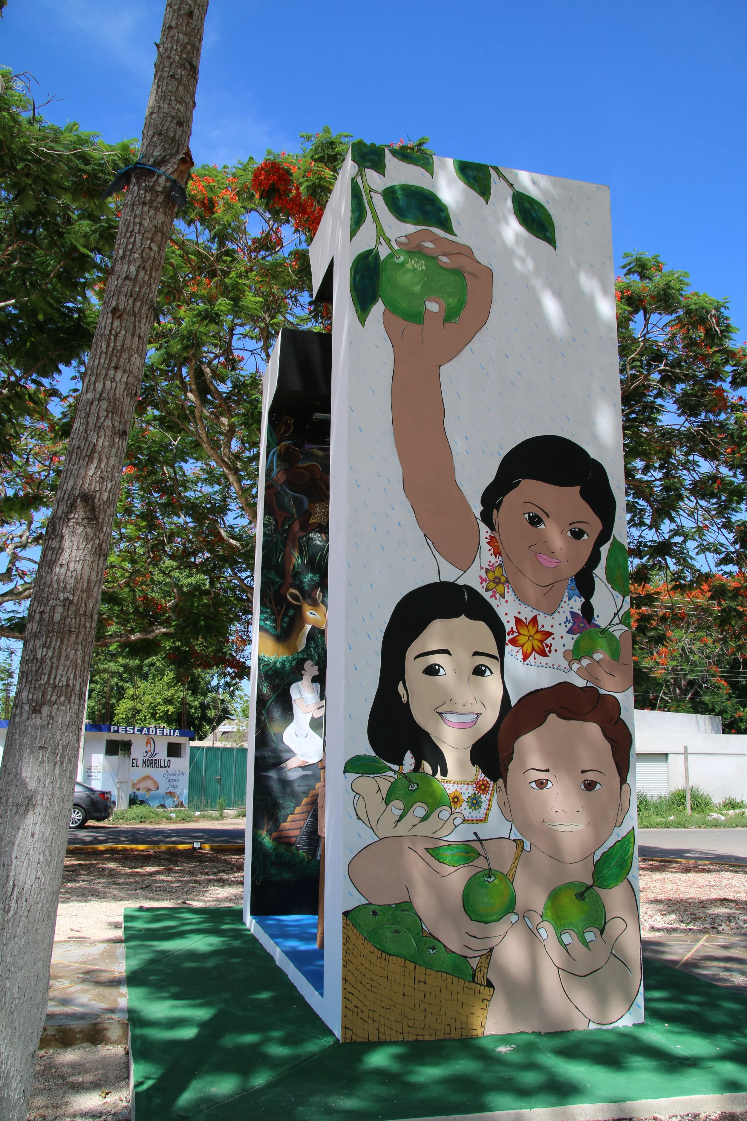 Akil, Yucatan - Citrus Country — Private Tours in Progreso, Merida and ...