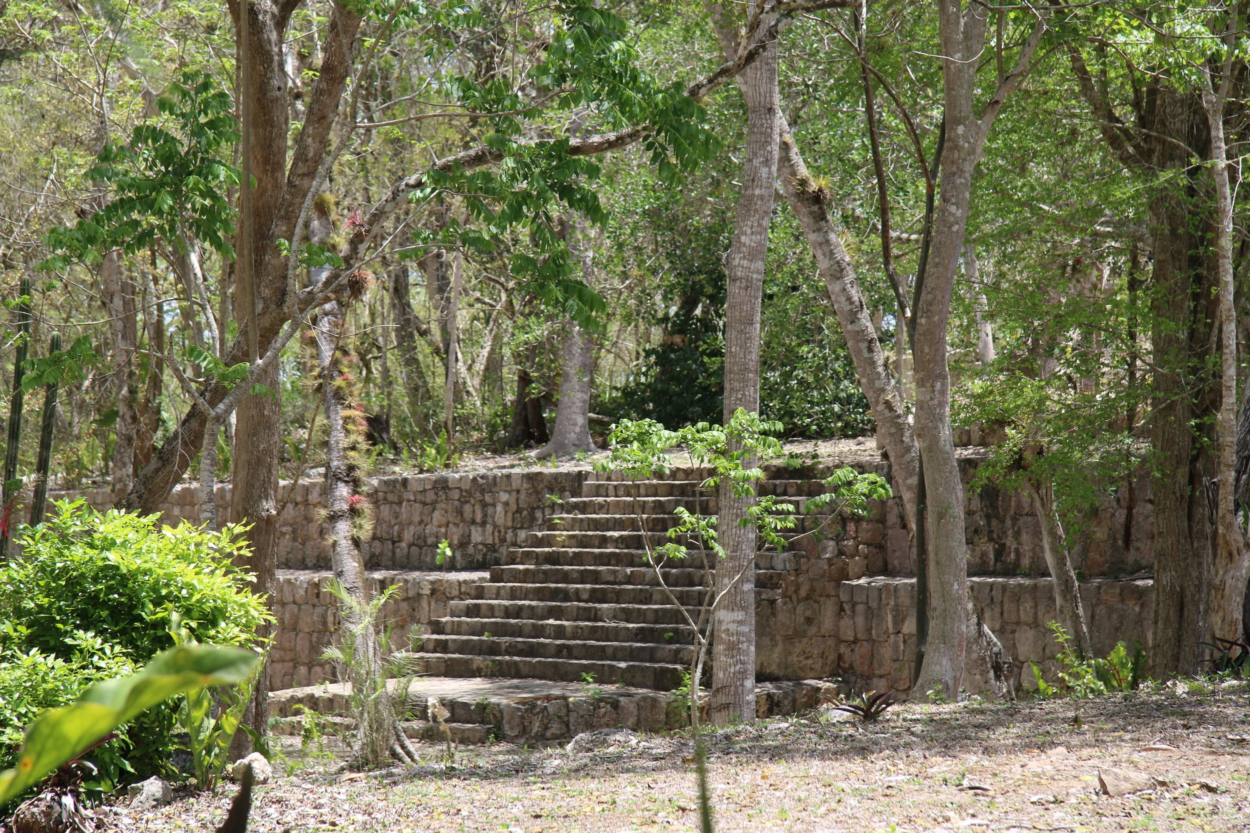 tekax — Destinational Inspiration - The Trip Blog — Best Tours in ...