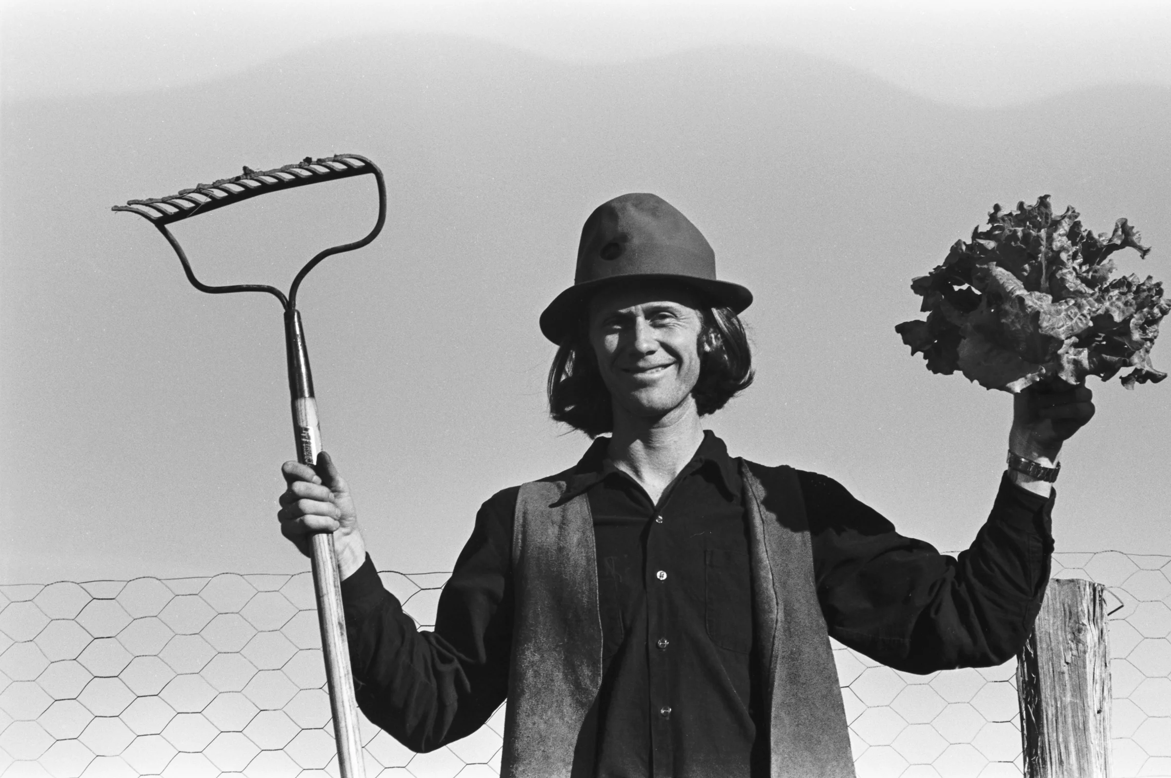 Ilka Hartmann — Perry Shimon