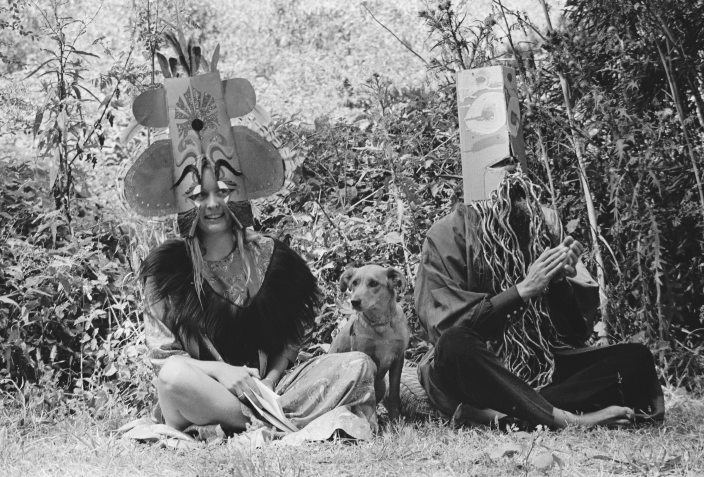 Ilka Hartmann — Perry Shimon