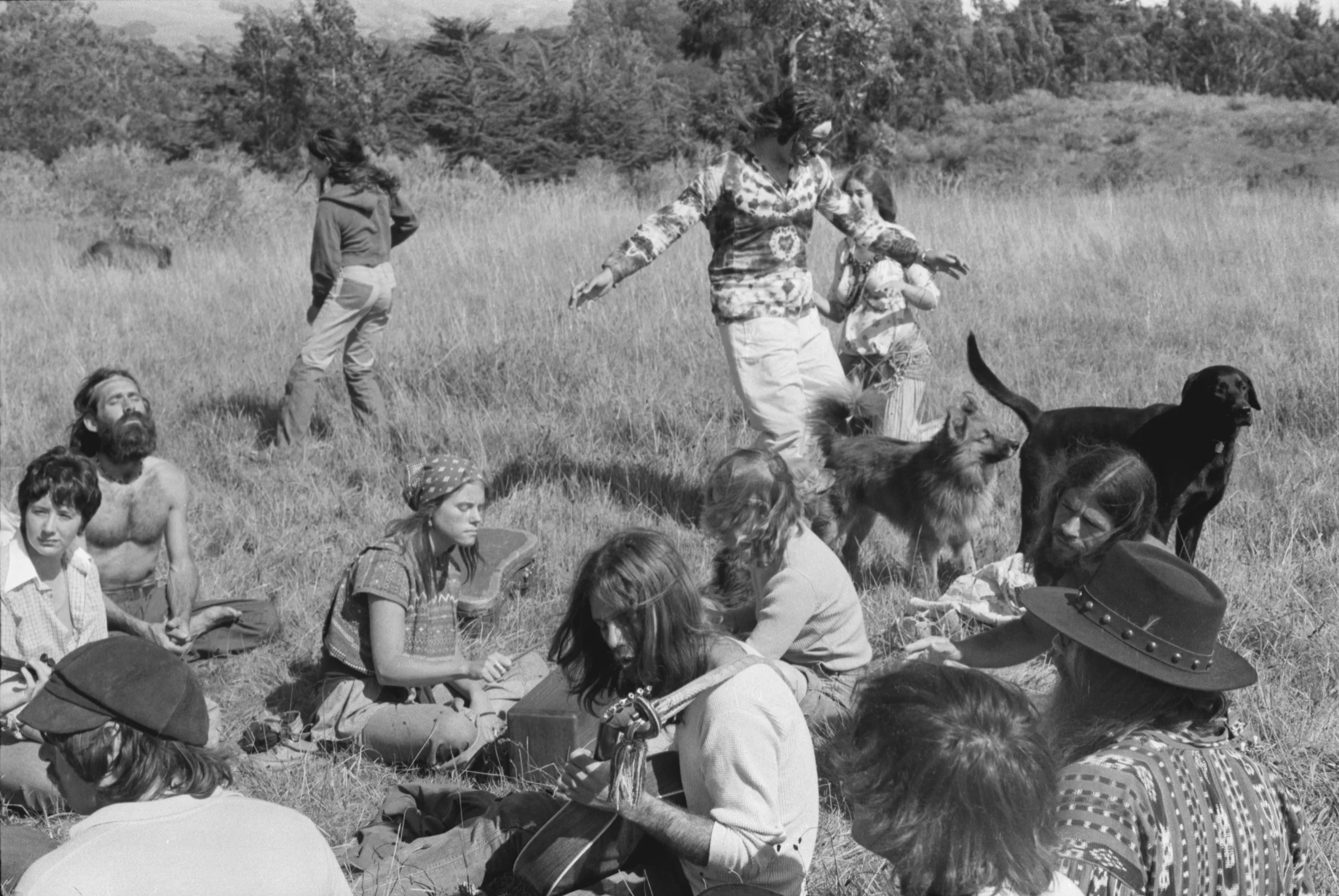 Ilka Hartmann — Perry Shimon