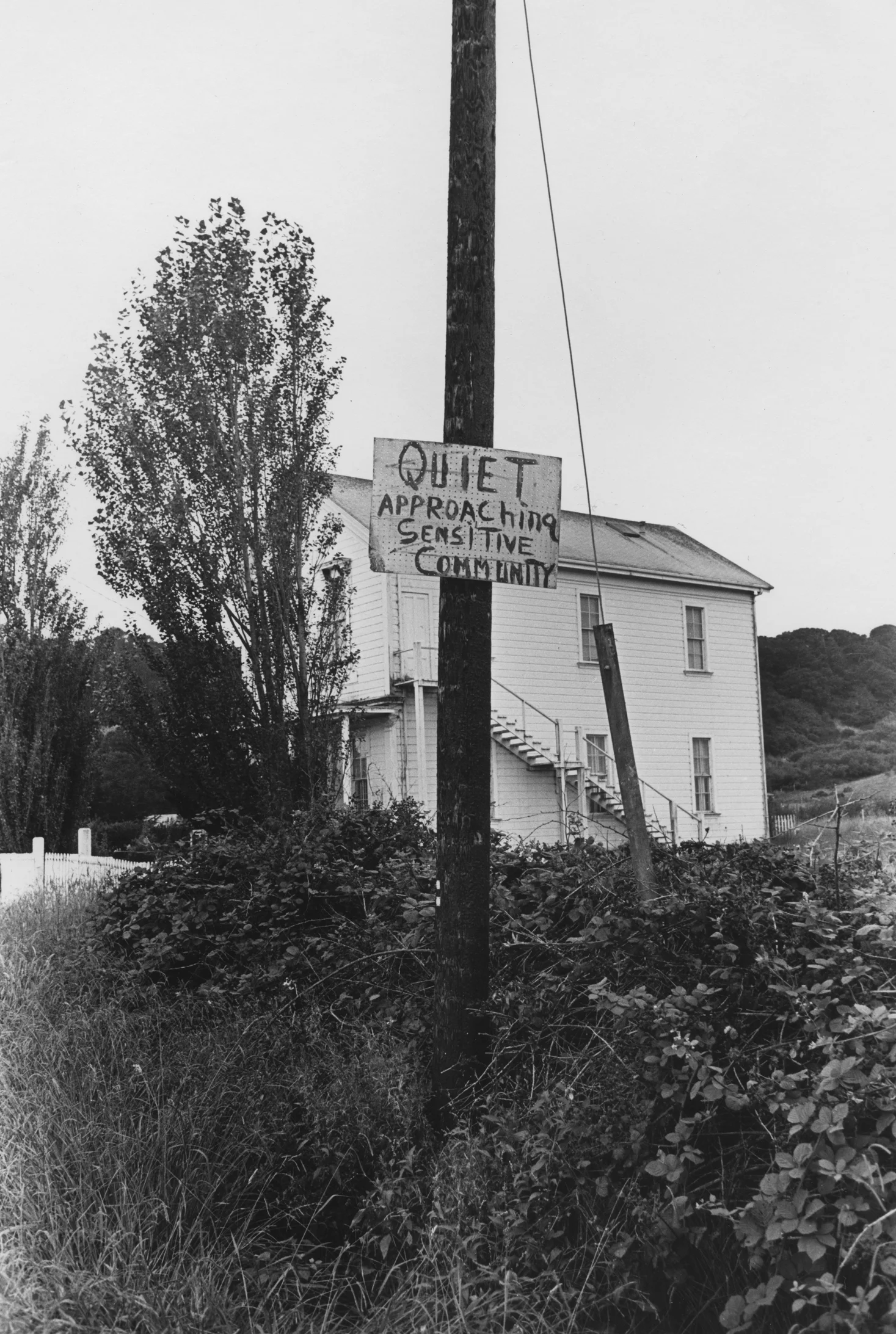 Ilka Hartmann — Perry Shimon