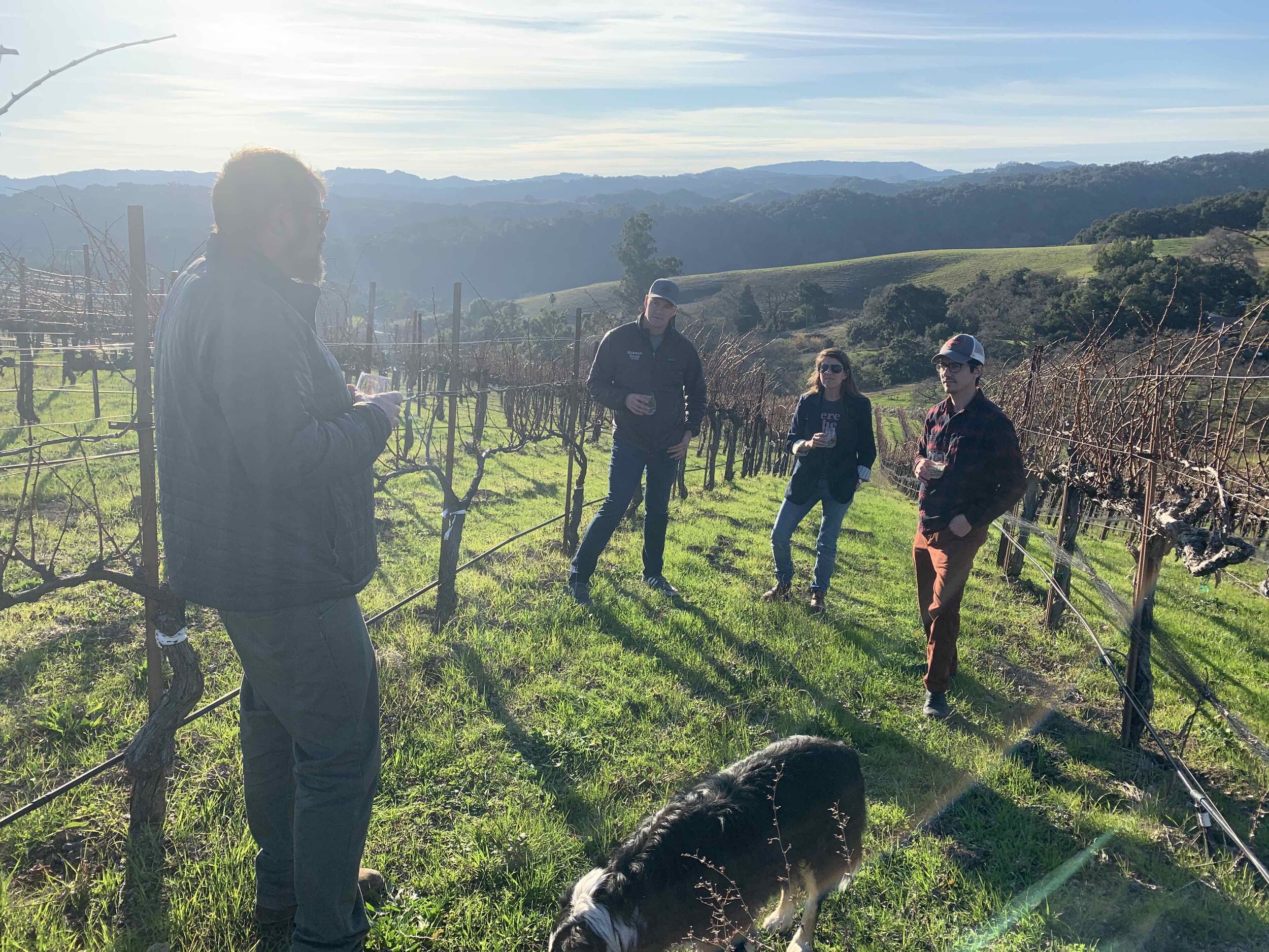 Herman Story Wines — Vinejoy Chicago