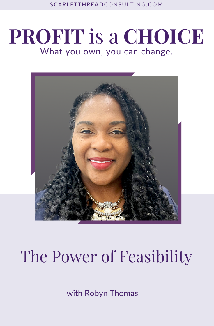 The Power of Feasibility for Interior Designers — Scarlet Thread Consulting