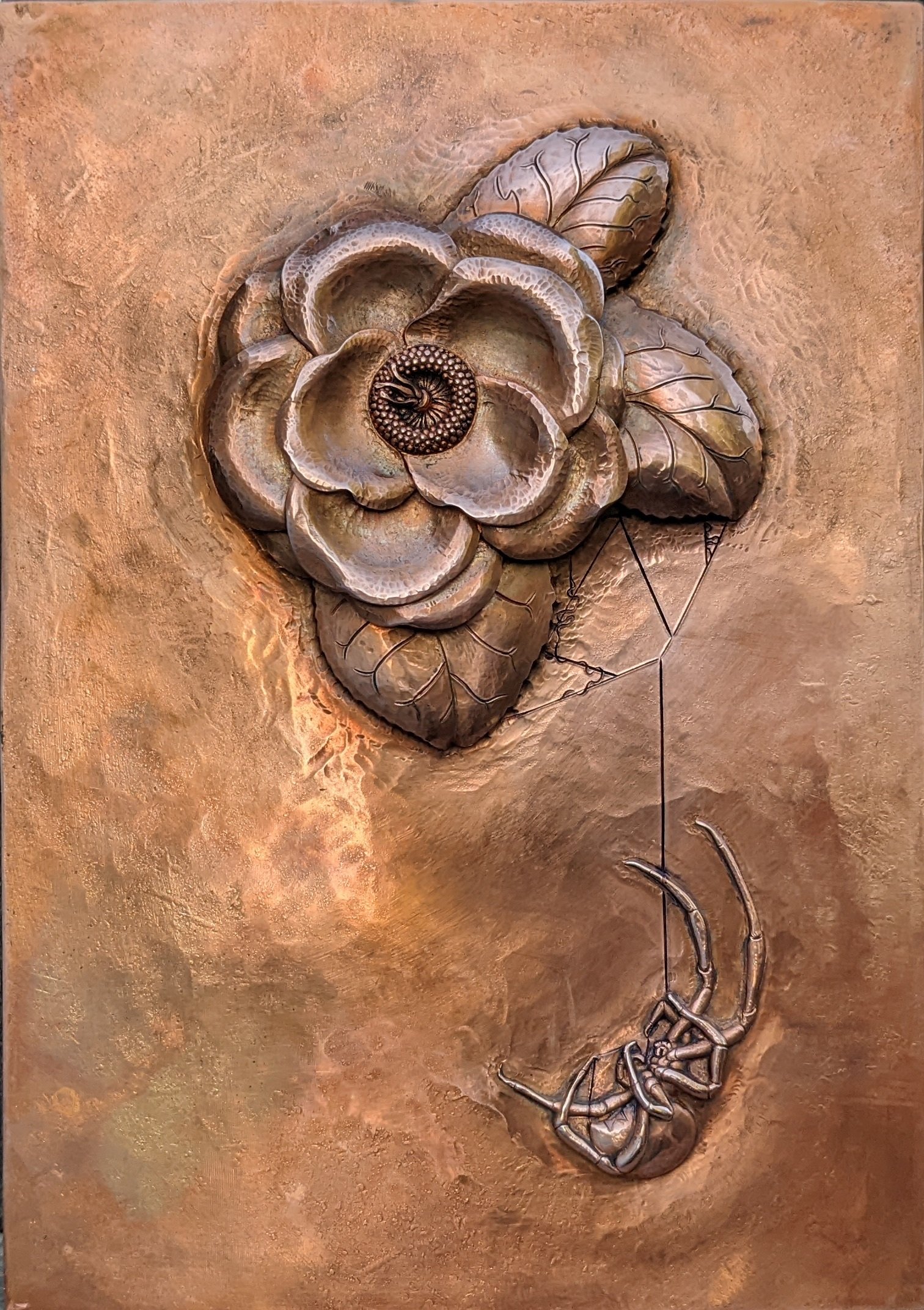 Shop — Douglas Pryor