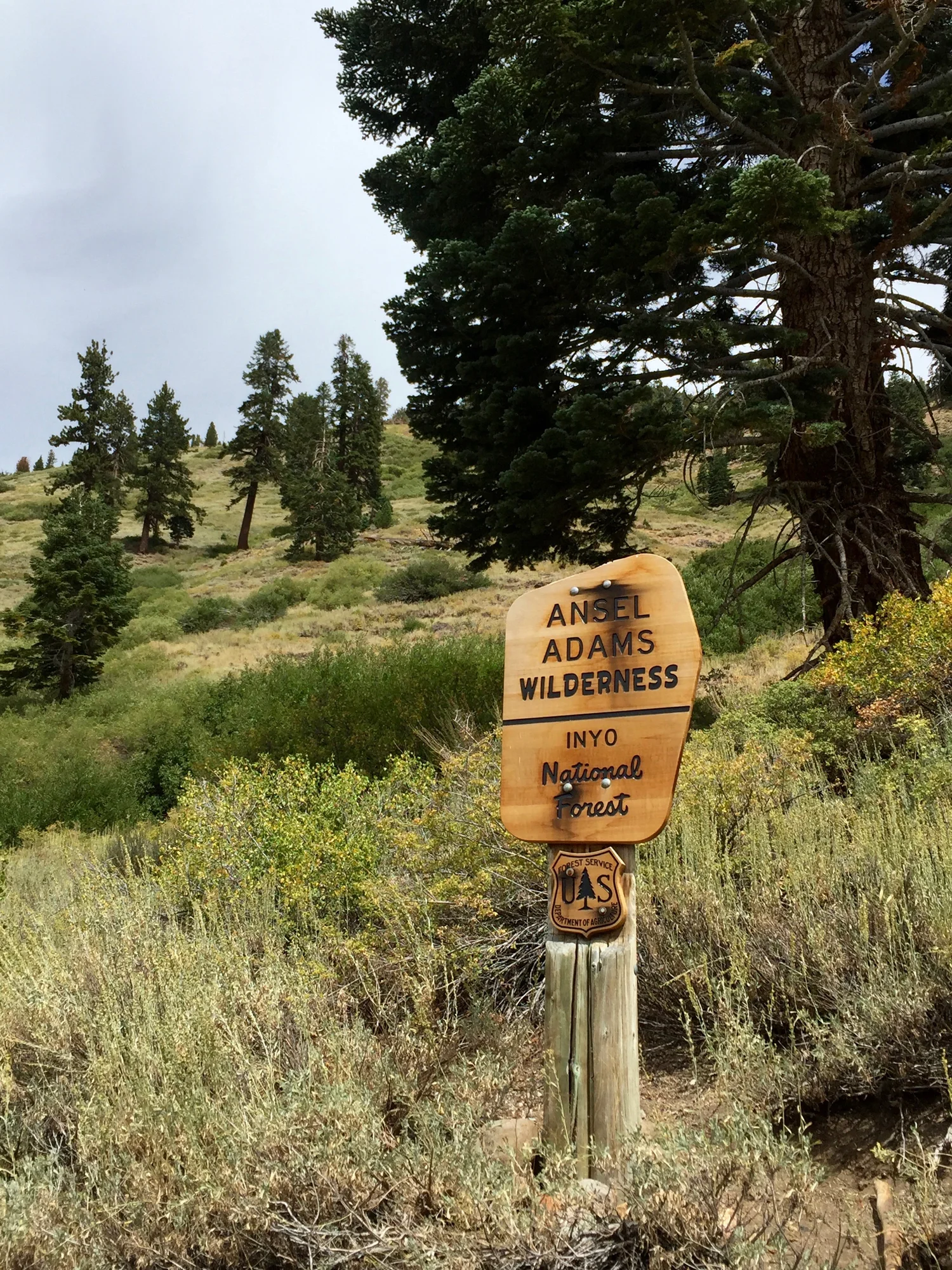 GREATEST HITS OF THE PCT AND JMT — SAANO ADVENTURES
