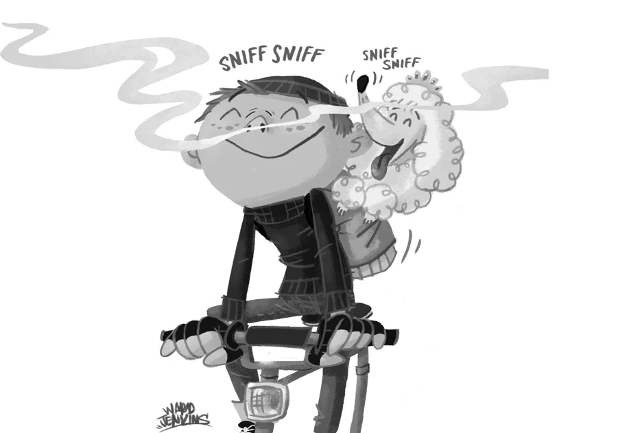 Chapter Books — Ward Jenkins