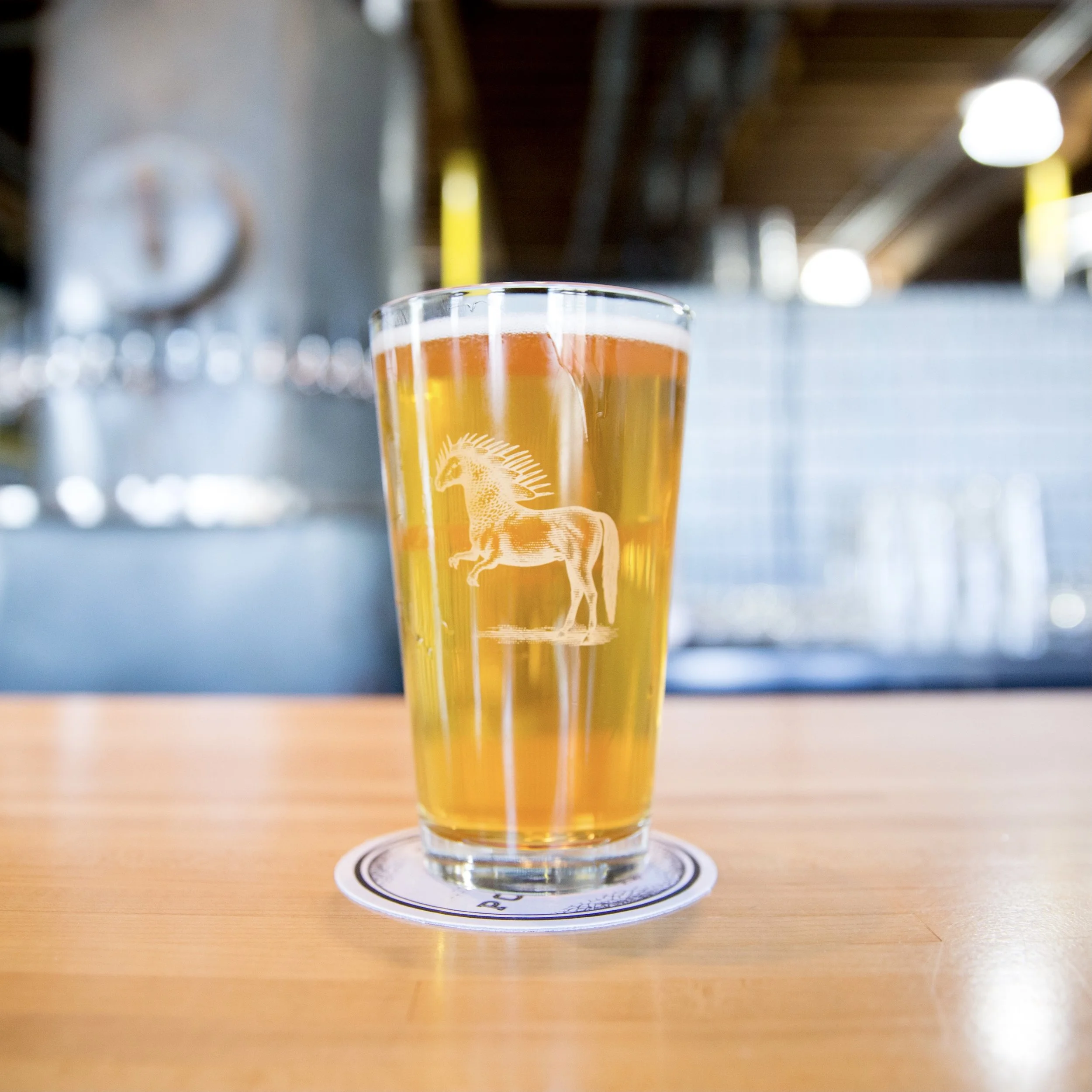 SHOP SWAG — Ponysaurus Brewing