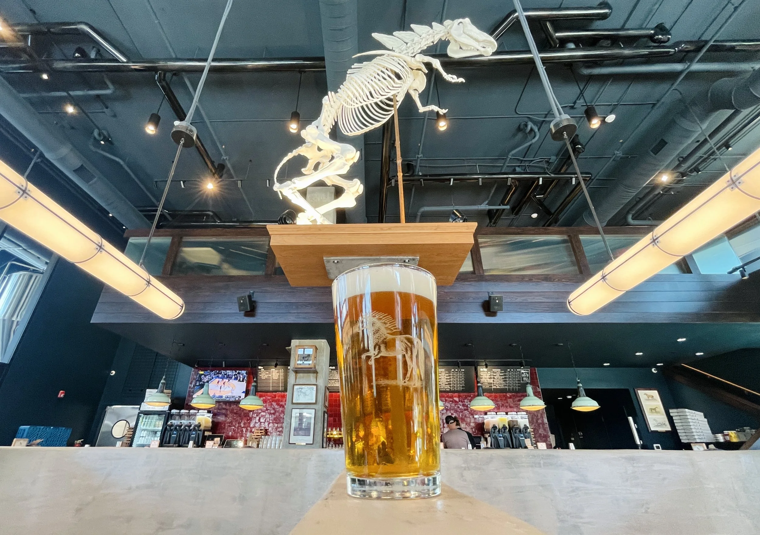 RALEIGH — Ponysaurus Brewing
