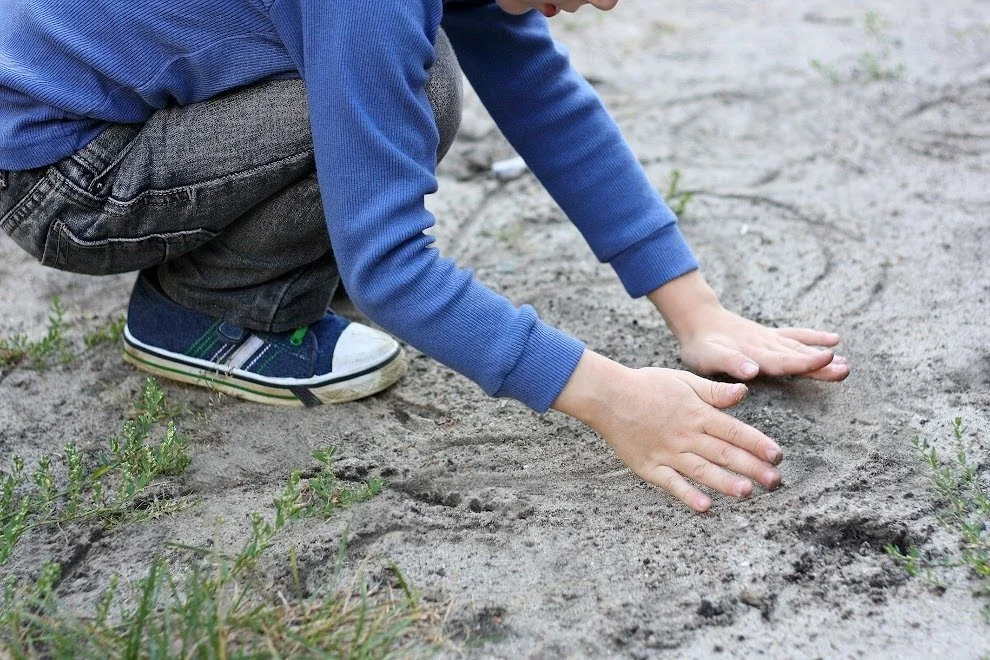 What is Waldorf First Grade Curriculum for Art?