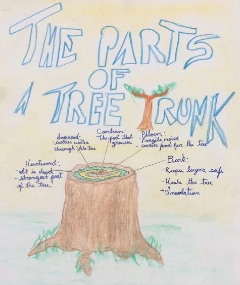 Waldorf Fifth Grade Botany: Growing with the Child