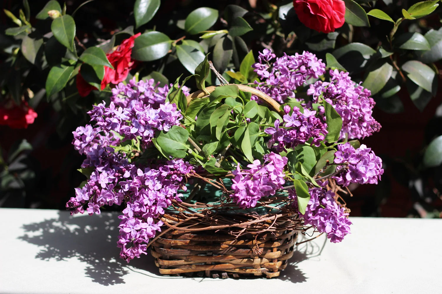 Catch these: Lilacs, Roses and Daffodils — floristinyou