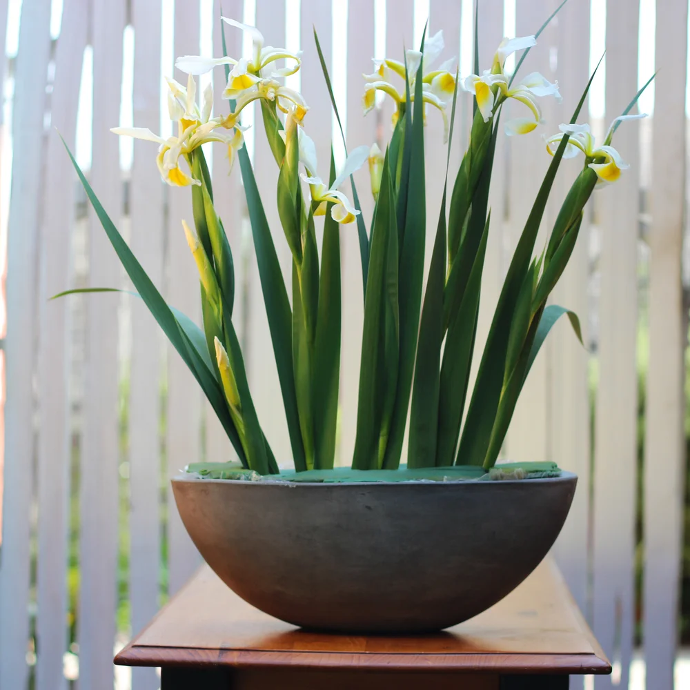 Spring Garden in a Modern Container — floristinyou