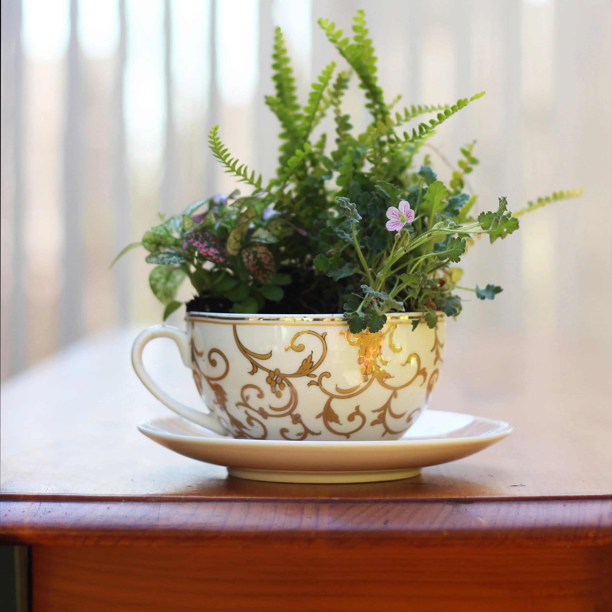 How to Make a Teacup Fairy Garden — floristinyou