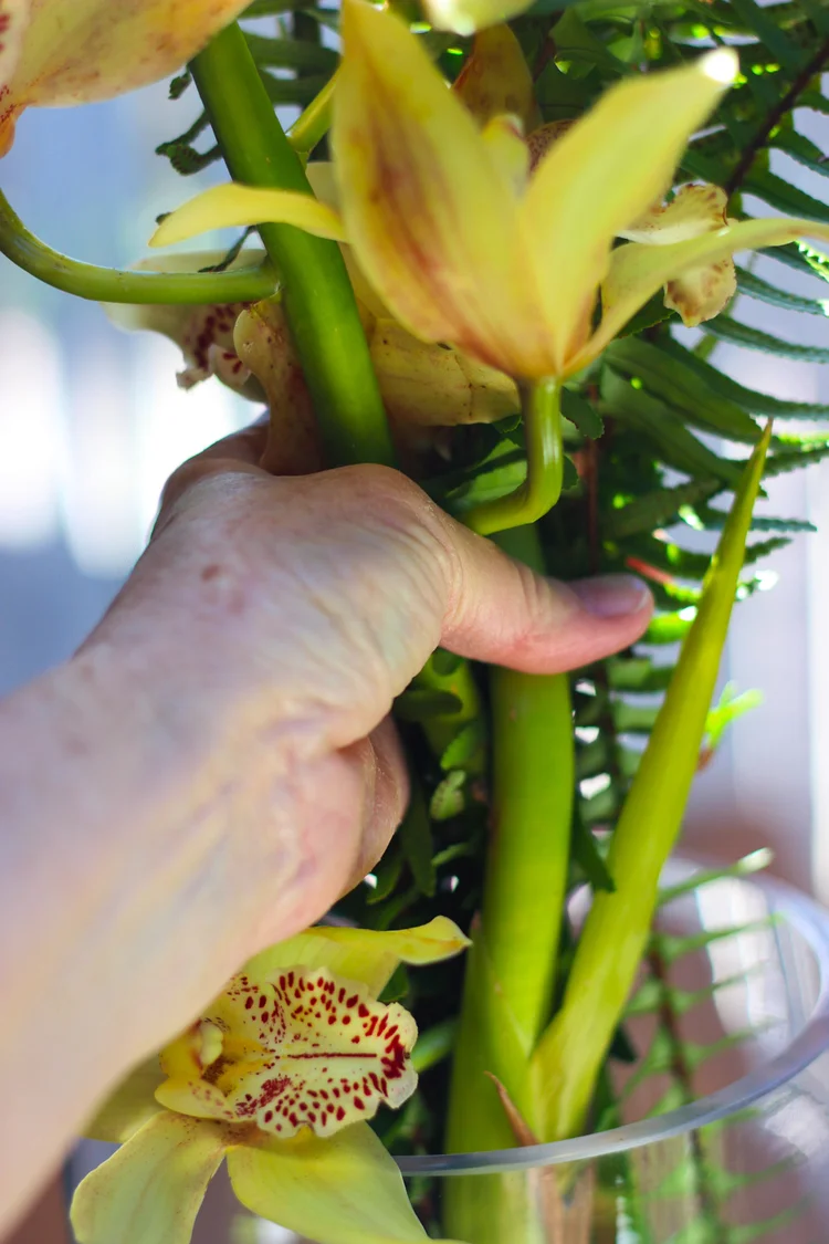 Exotic Grouping — floristinyou