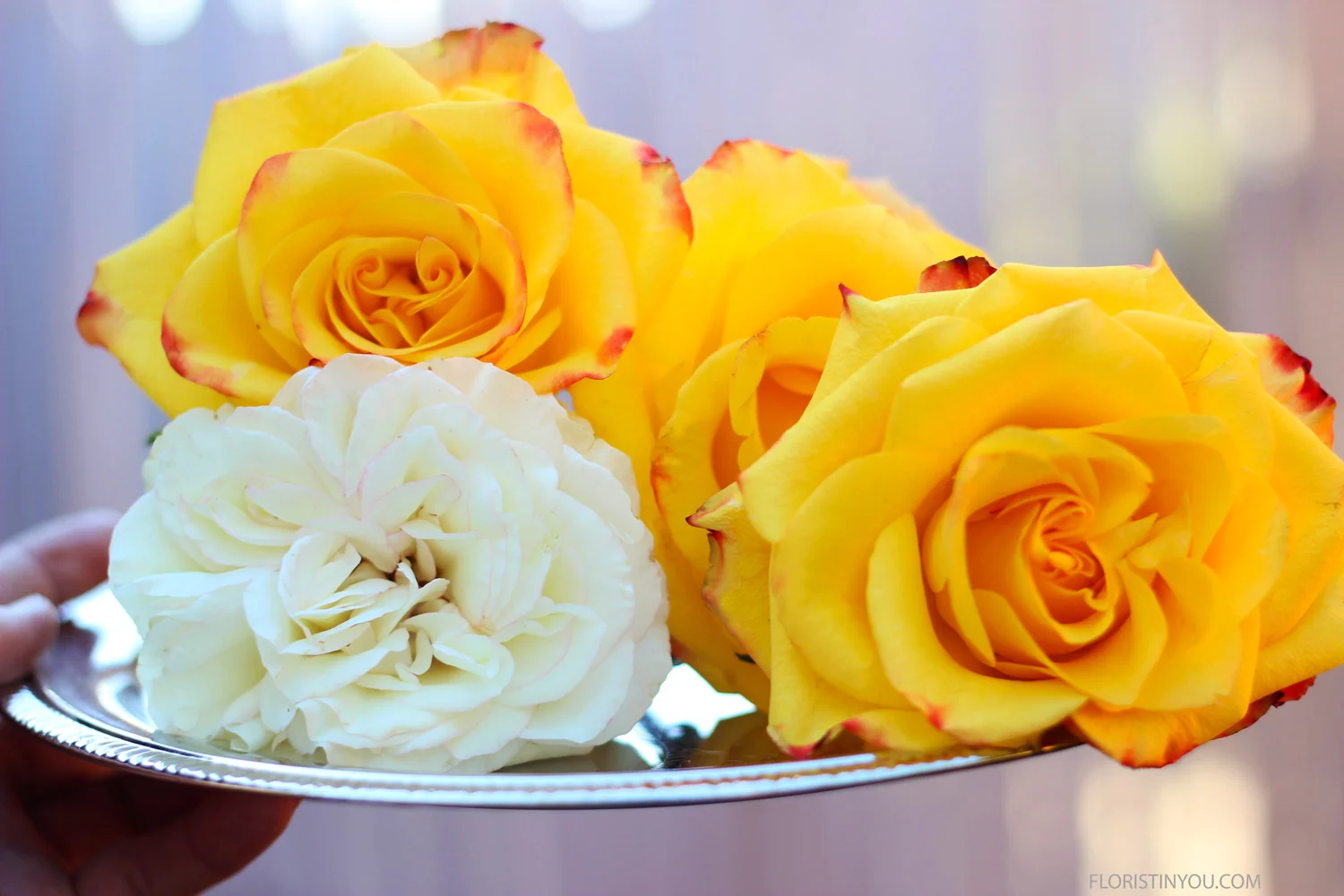 Thanksgiving Centerpiece — floristinyou