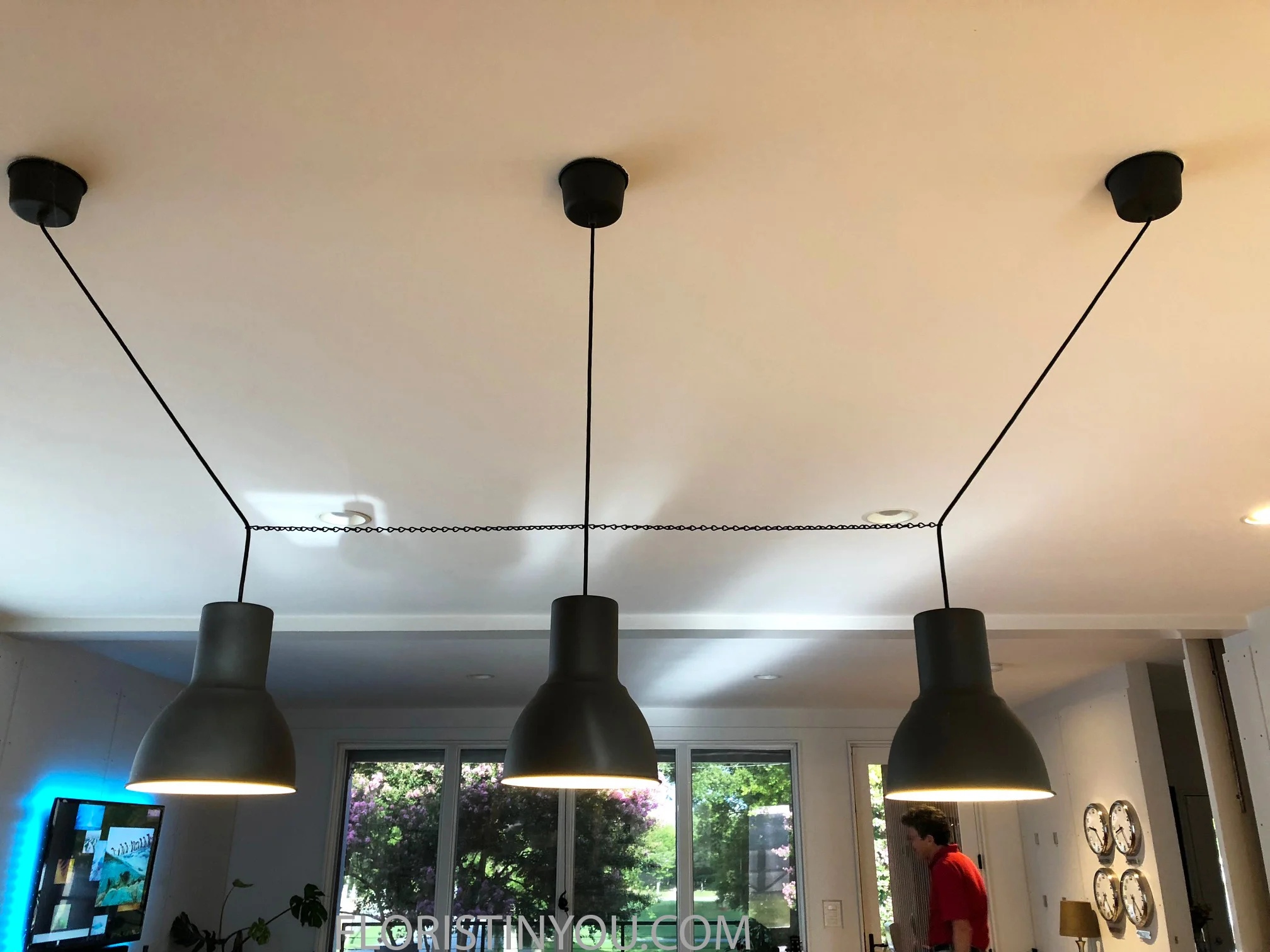 Field Trips — floristinyou