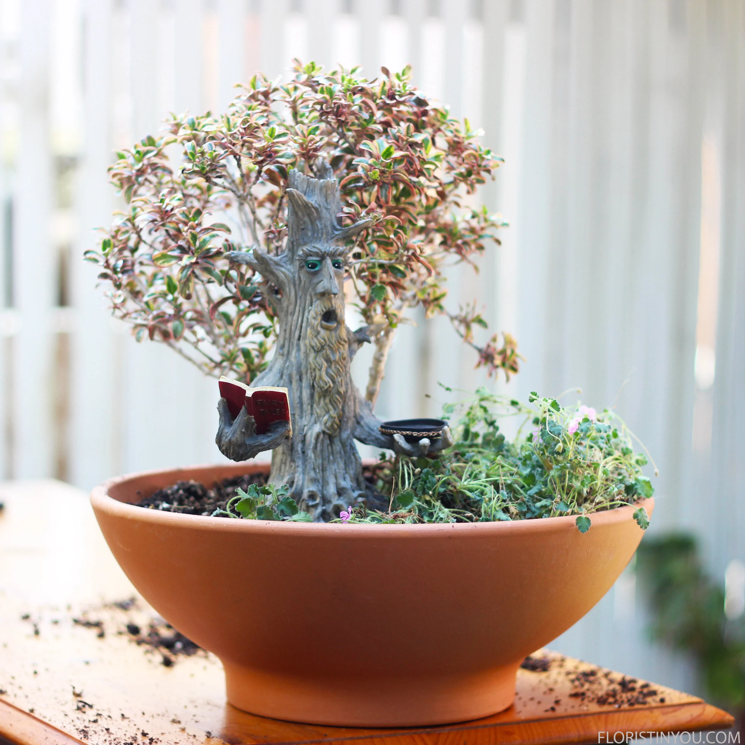 Story Telling Tree Fairy Garden — floristinyou