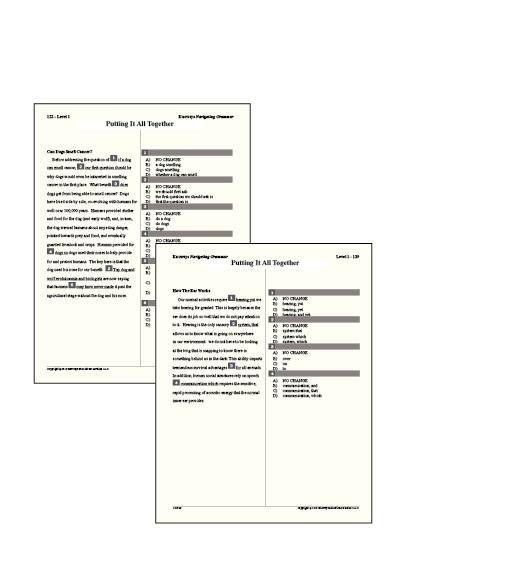 Grammar Course — Knowsys Educational Services