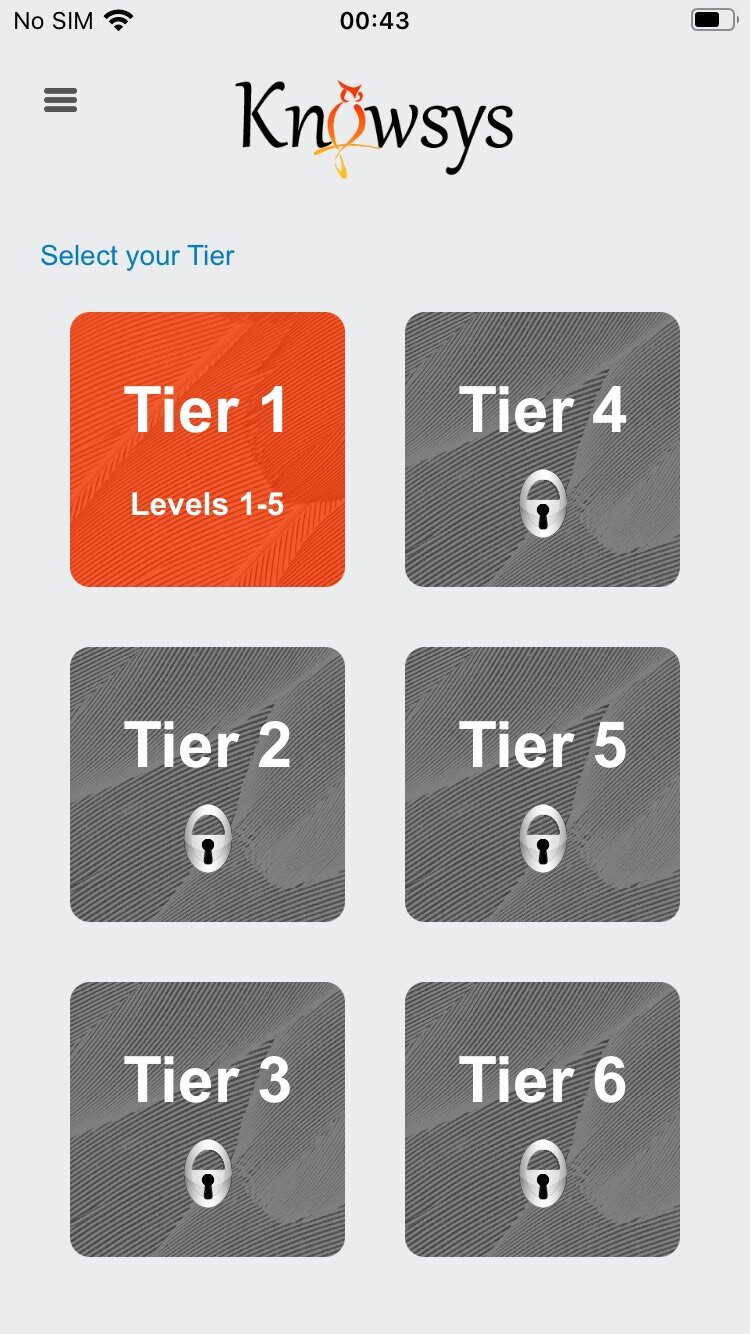 Game Support — Knowsys Educational Services