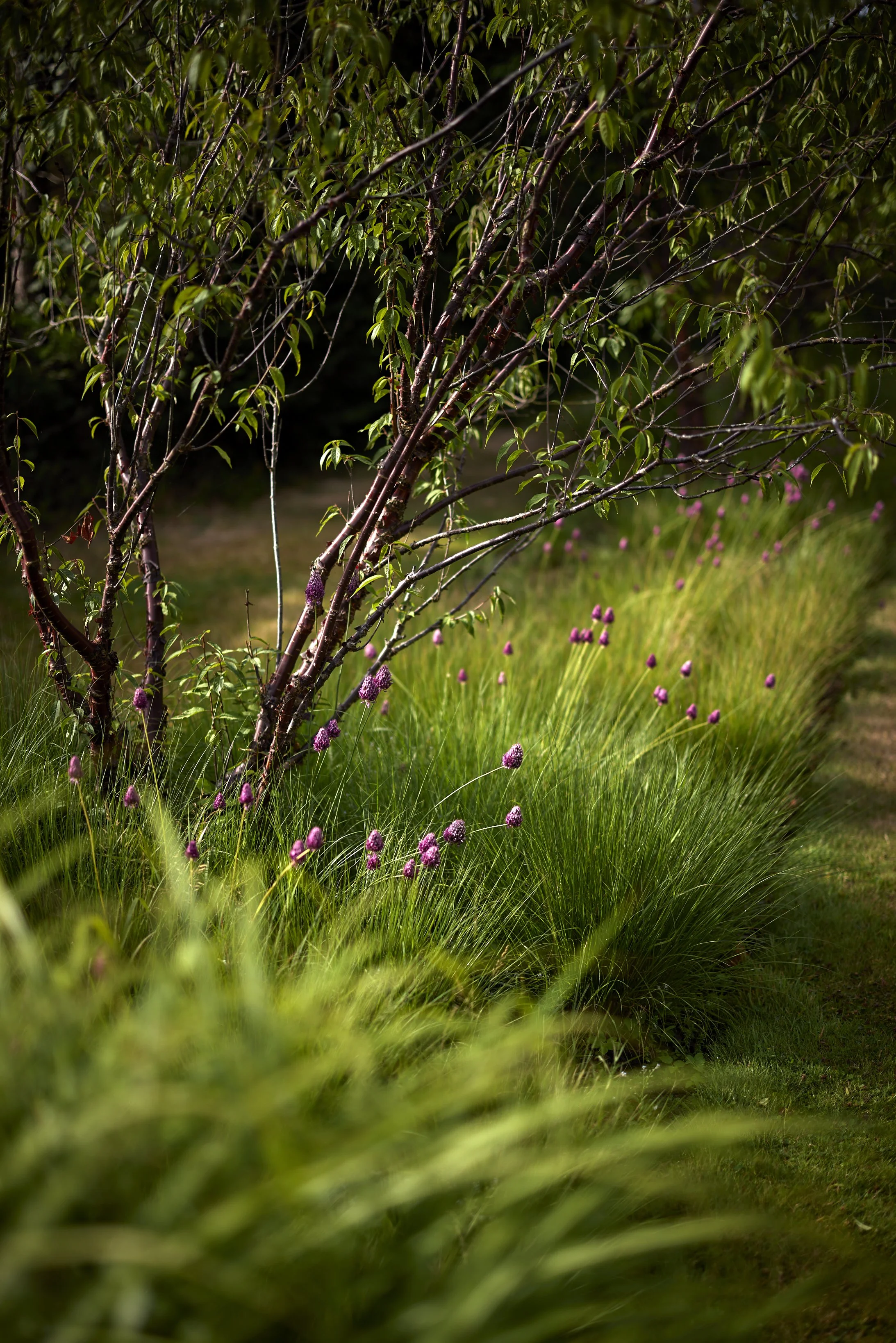 Process — Victoria Truman