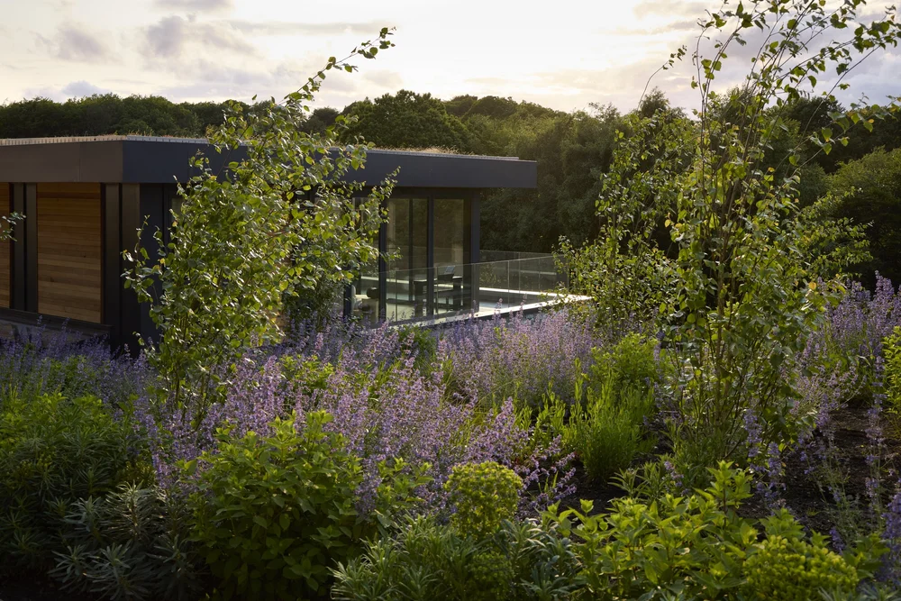 Process — Victoria Truman