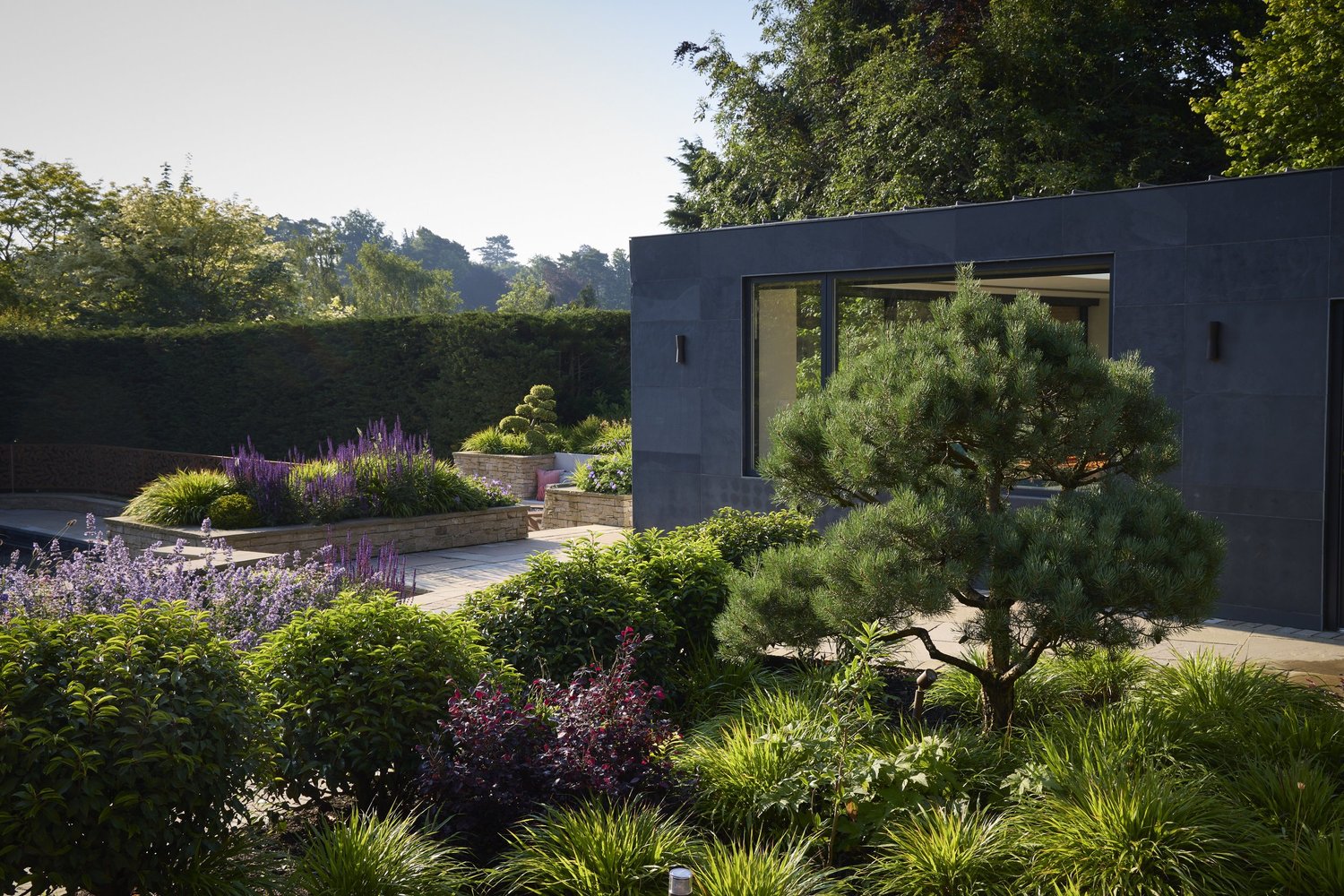 Process — Victoria Truman