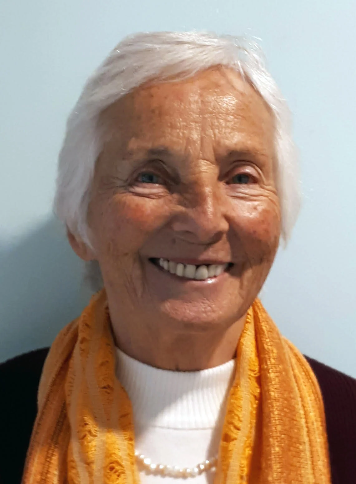 Our team — IDEAL Society