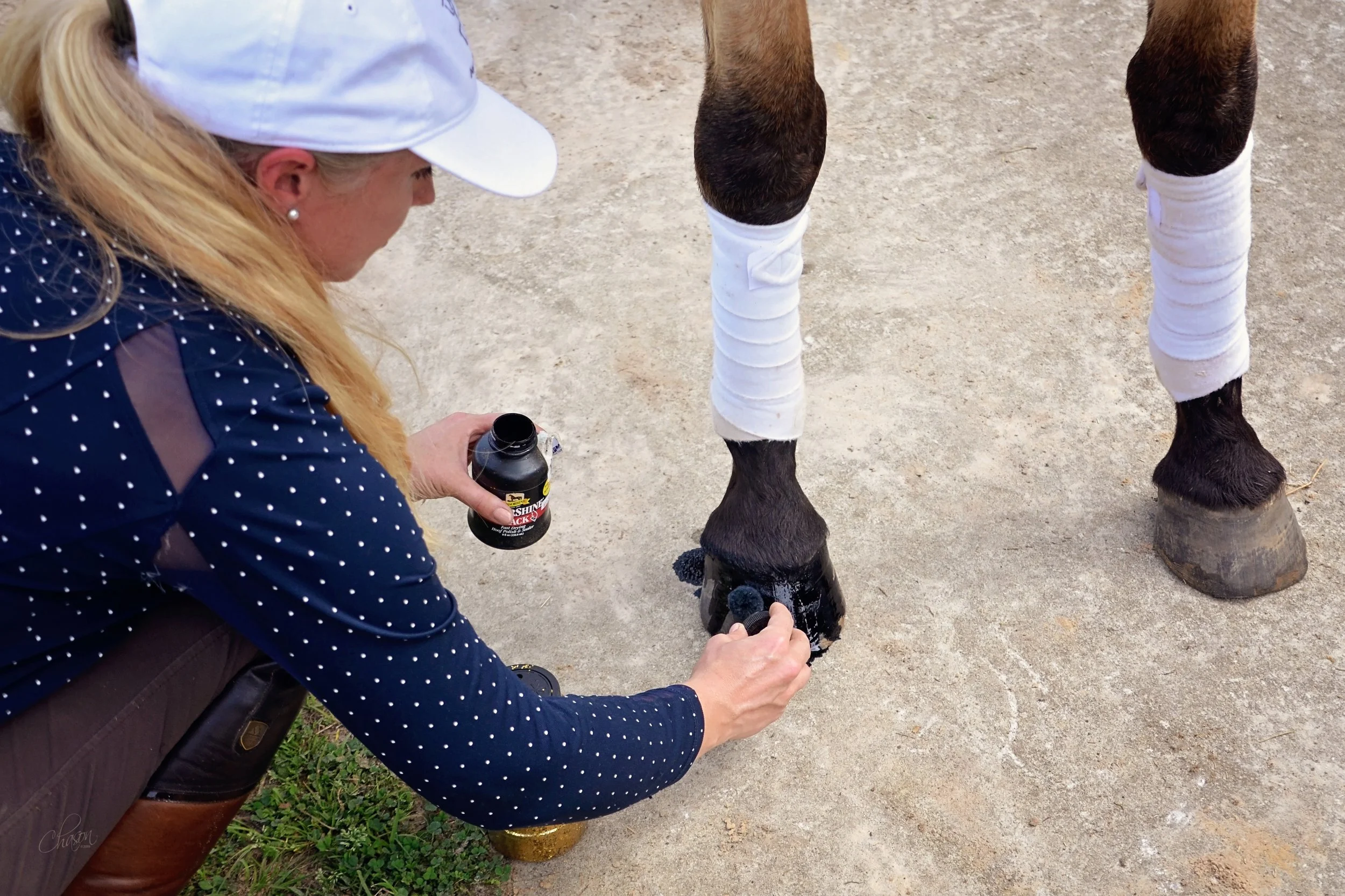 Add some Sparkle! DIY Glitter for your Horse's Hooves, Mane & Tail ...