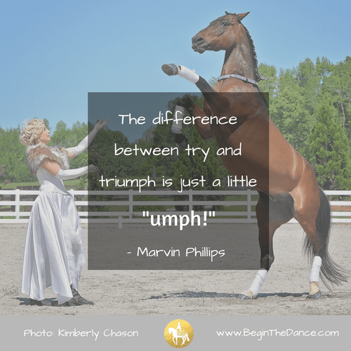 30 Success Quotes for Equestrians - Inspiring Horse Quotes to Motivate ...