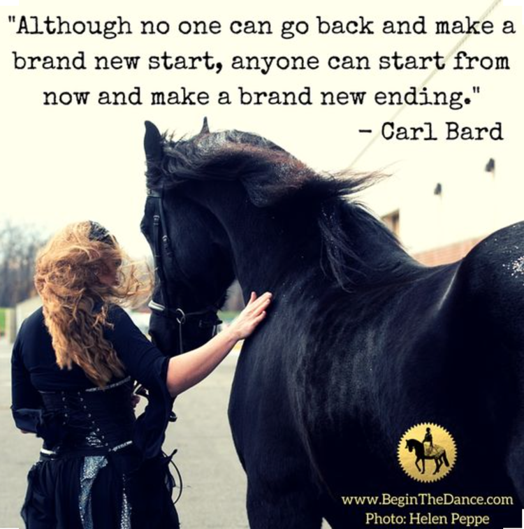 30 Success Quotes for Equestrians - Inspiring Horse Quotes to Motivate ...