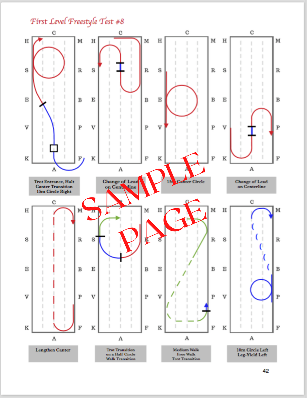 Dressage First Level