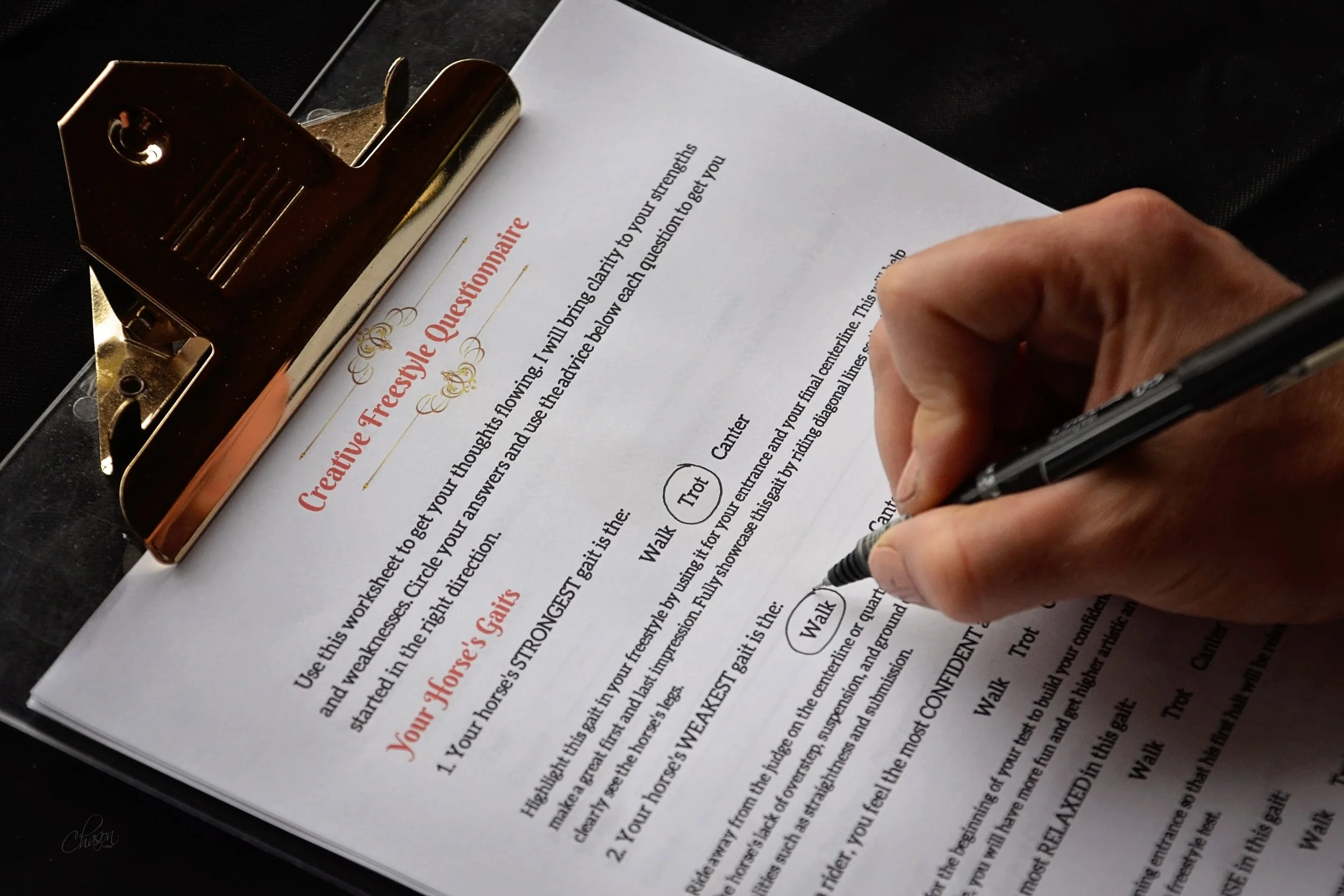 Freestyle Freebies — Sandra Beaulieu