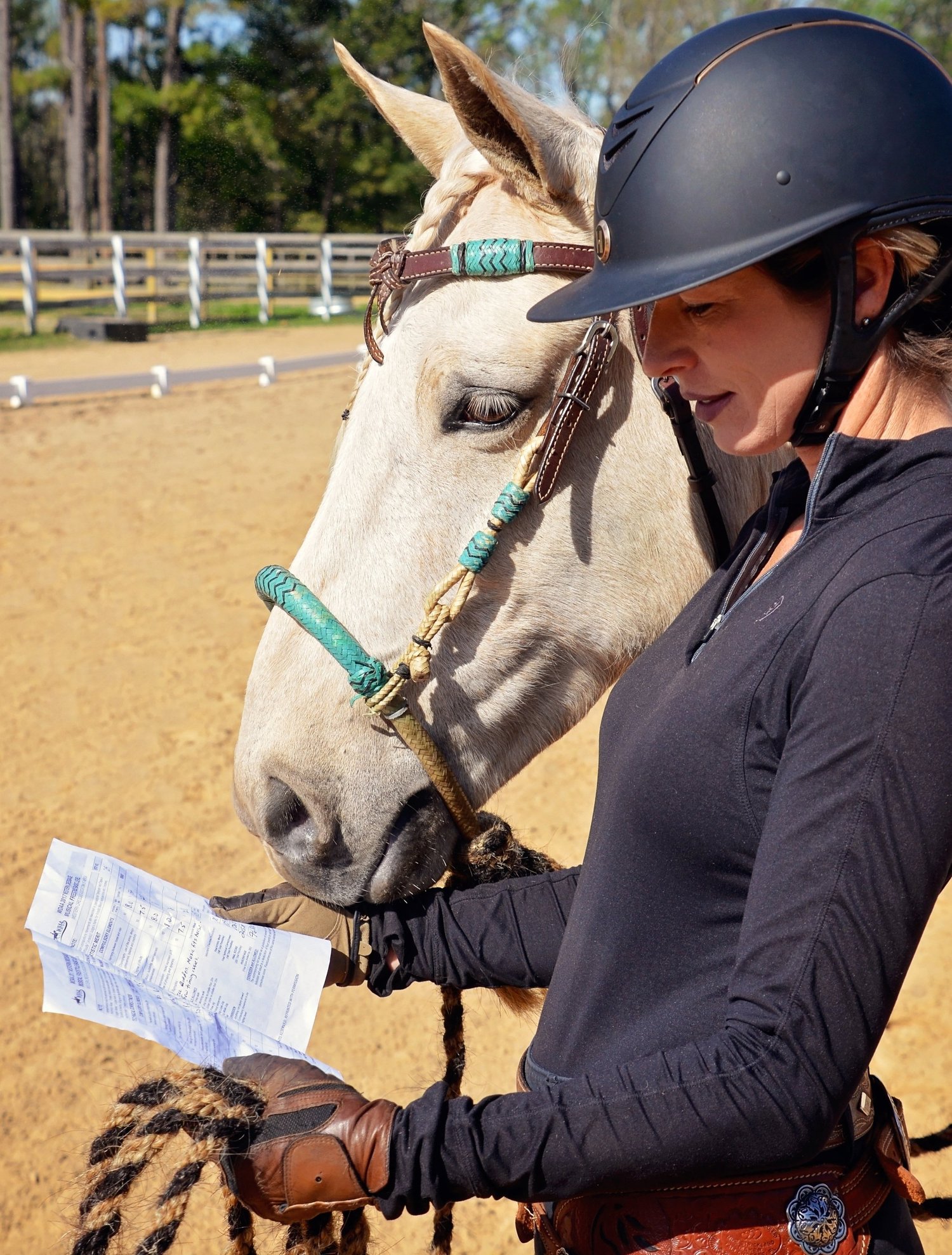 Where to Find Your Dressage Musical Freestyle Test Online — Sandra Beaulieu