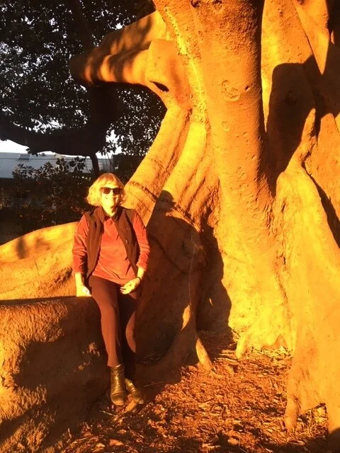 News — Nadia Wheatley