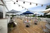 rooftop dining & bar — The Stray Dog Bar & Grill