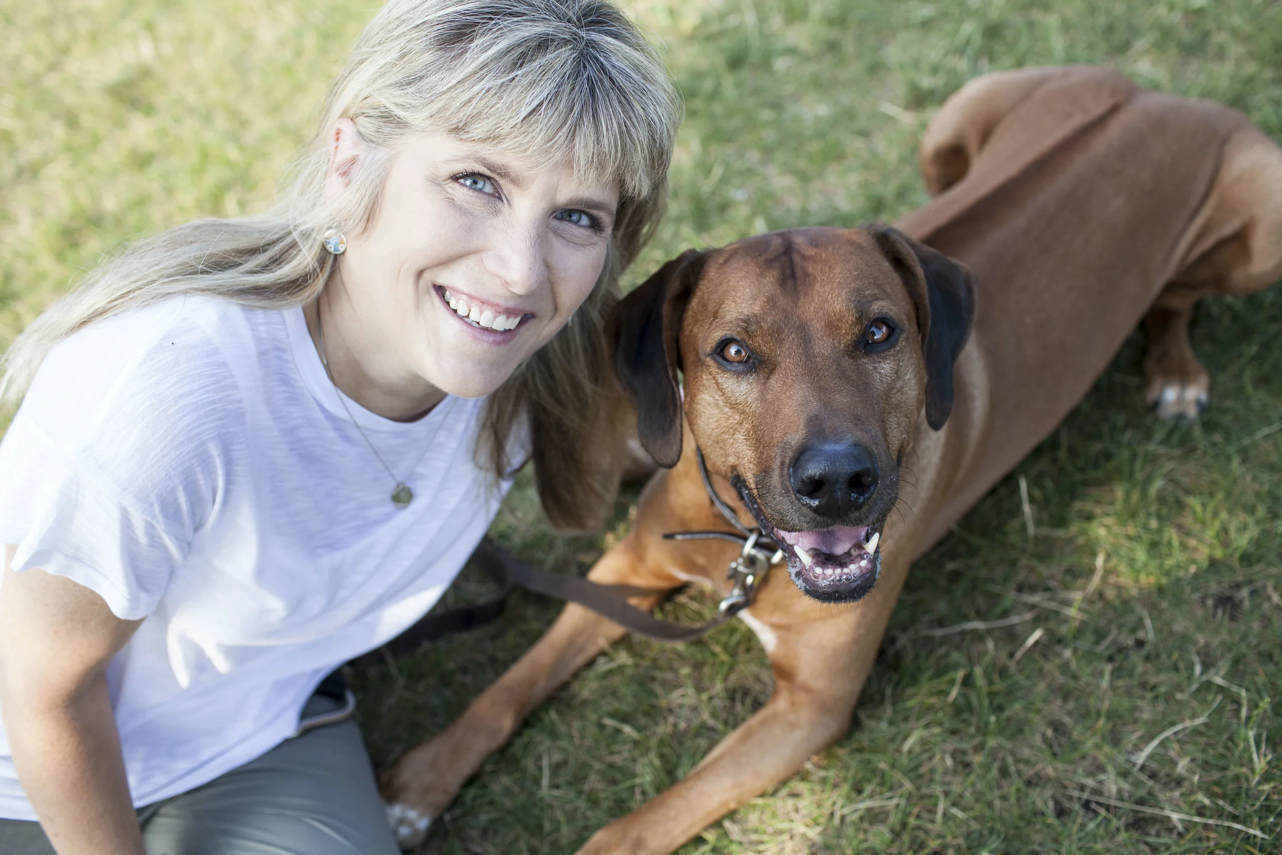 Animal Behavior Training Concepts – Chicago, IL