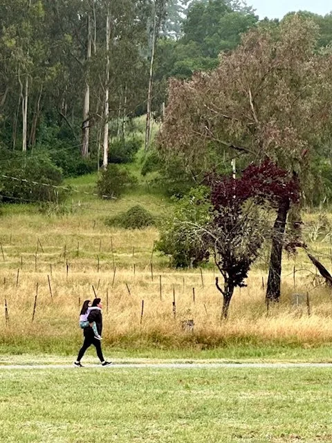 HBD, Ali — CrossFit Santa Cruz Central - Serving Santa Cruz, Capitola ...