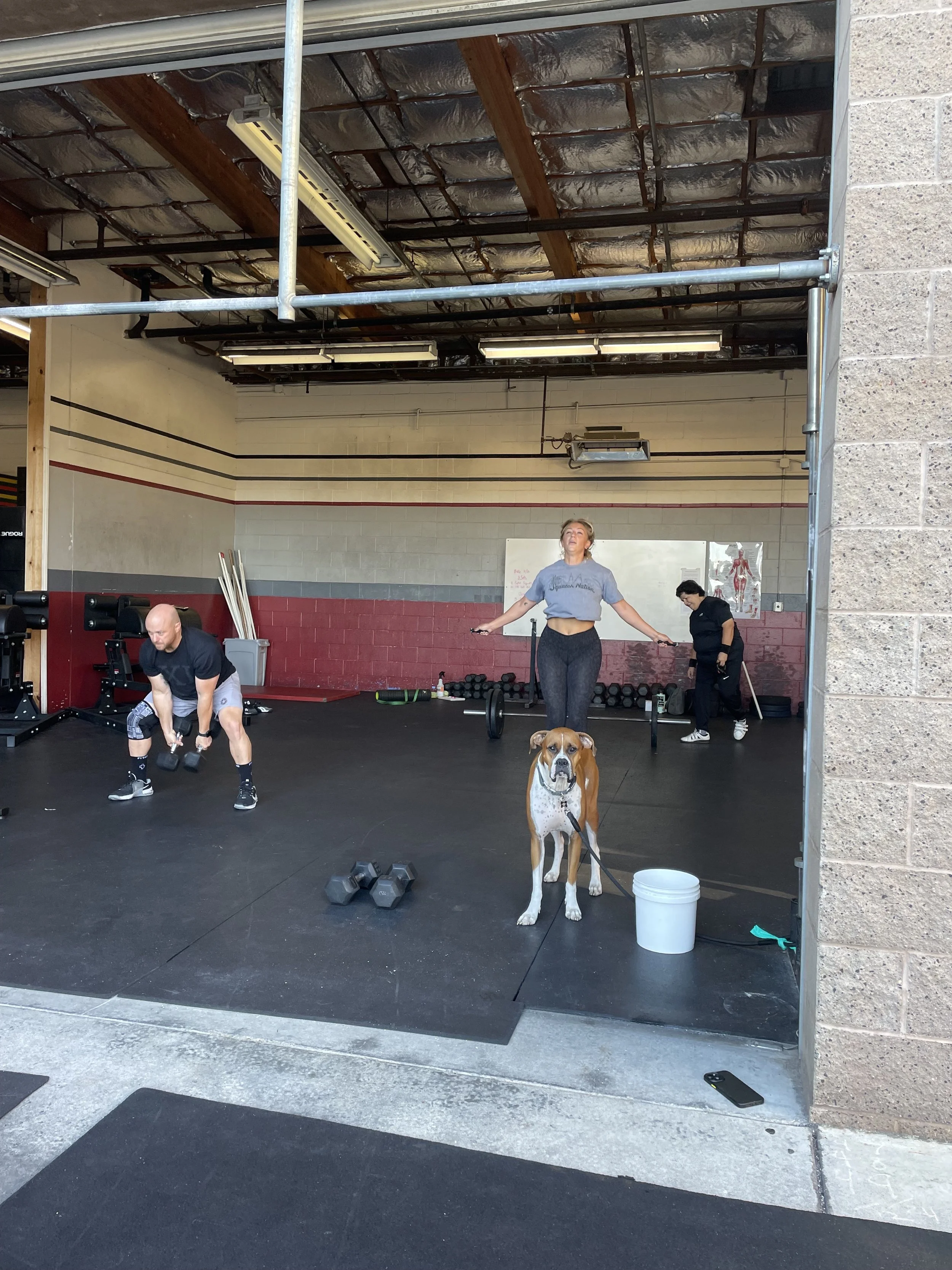 Calling All Dog Models — CrossFit Santa Cruz Central - Serving Santa ...