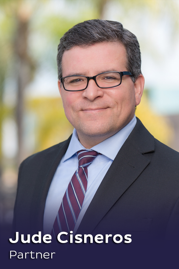 Ari David — INTELINK LAW