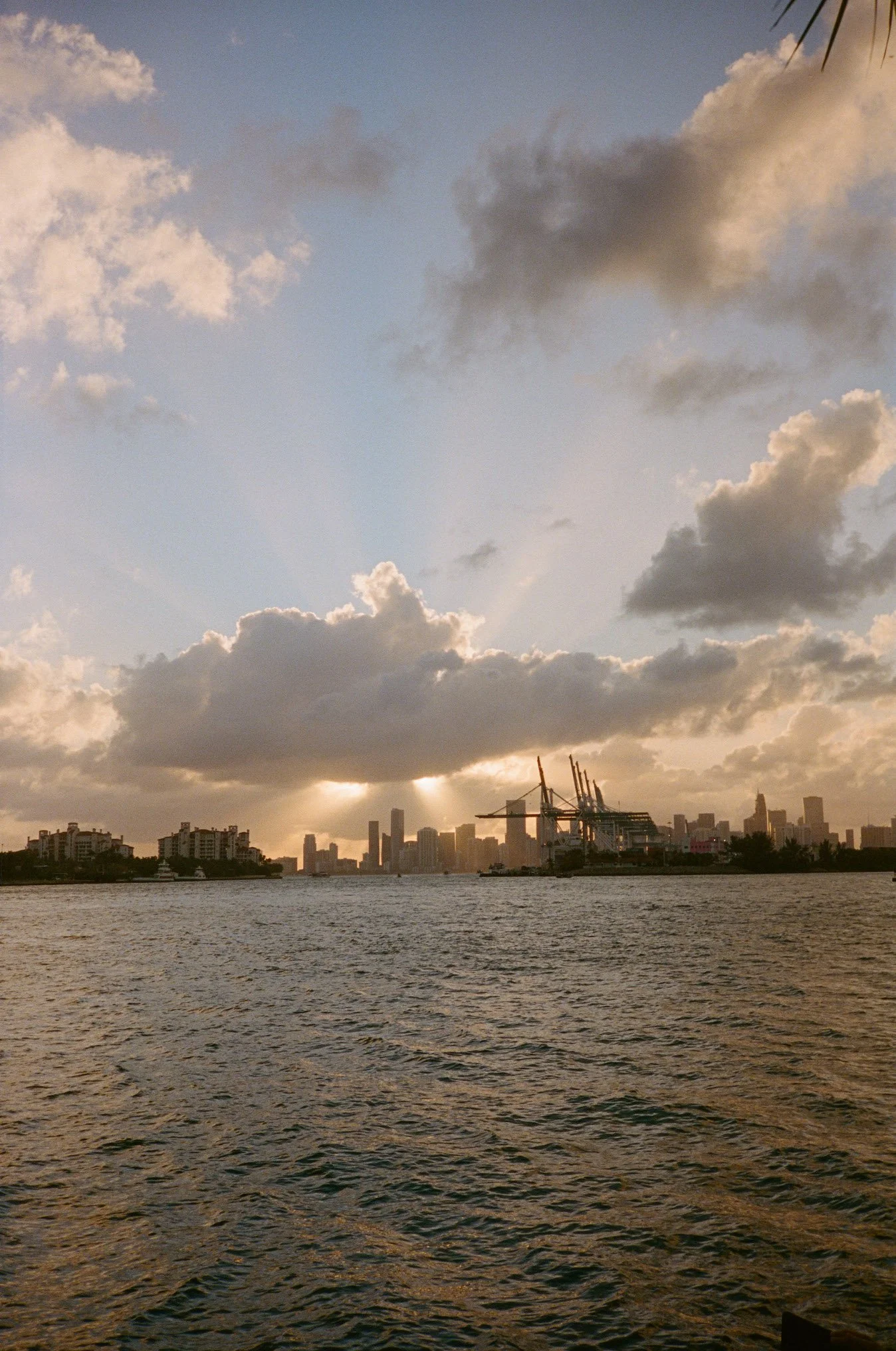 miami — garrett king