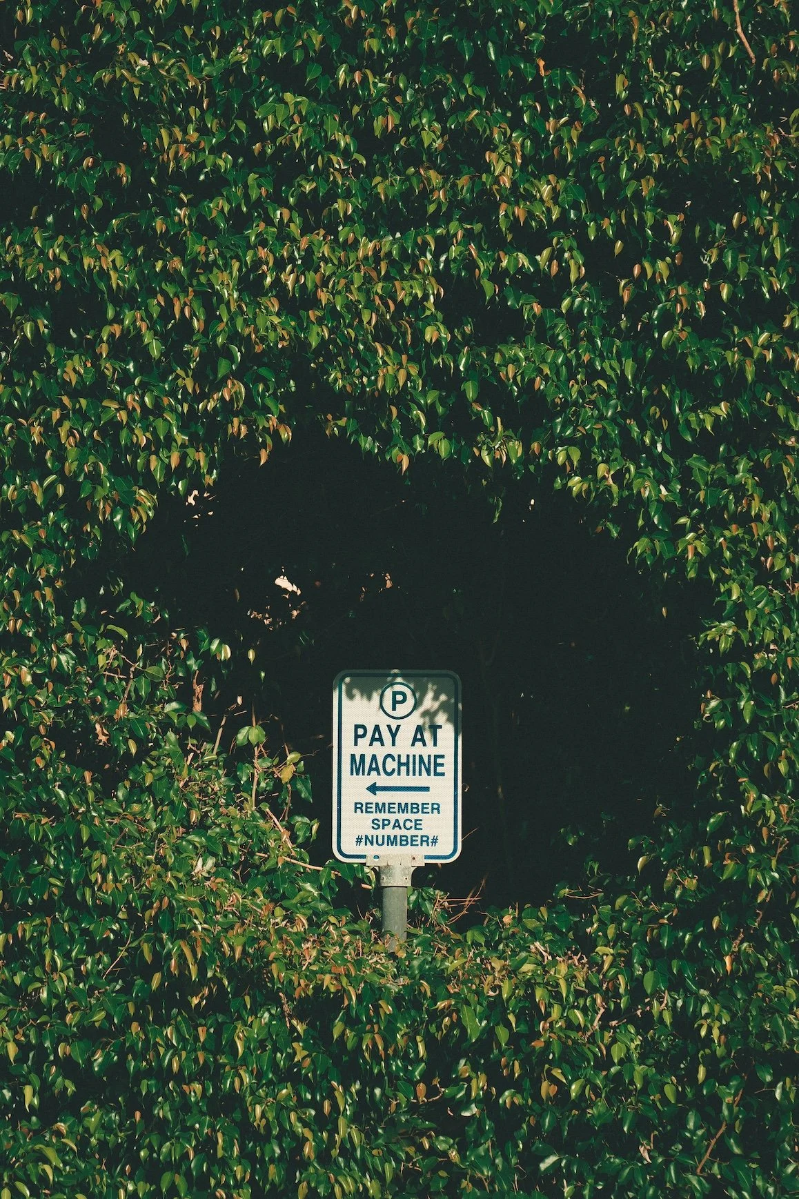 miami — garrett king