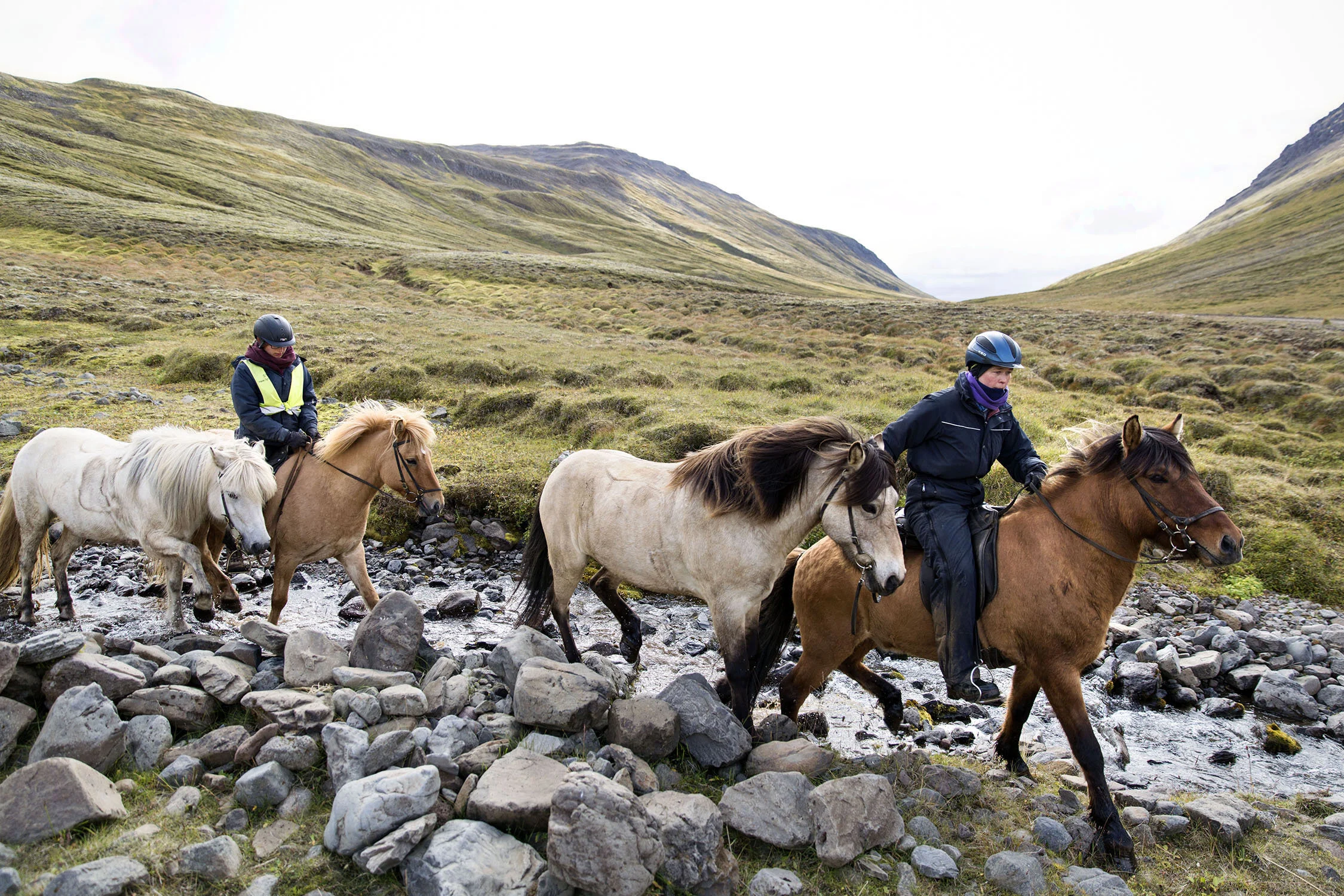 Iceland Sheep Roundup — Rebecca Stumpf | Montana & Colorado Editorial ...