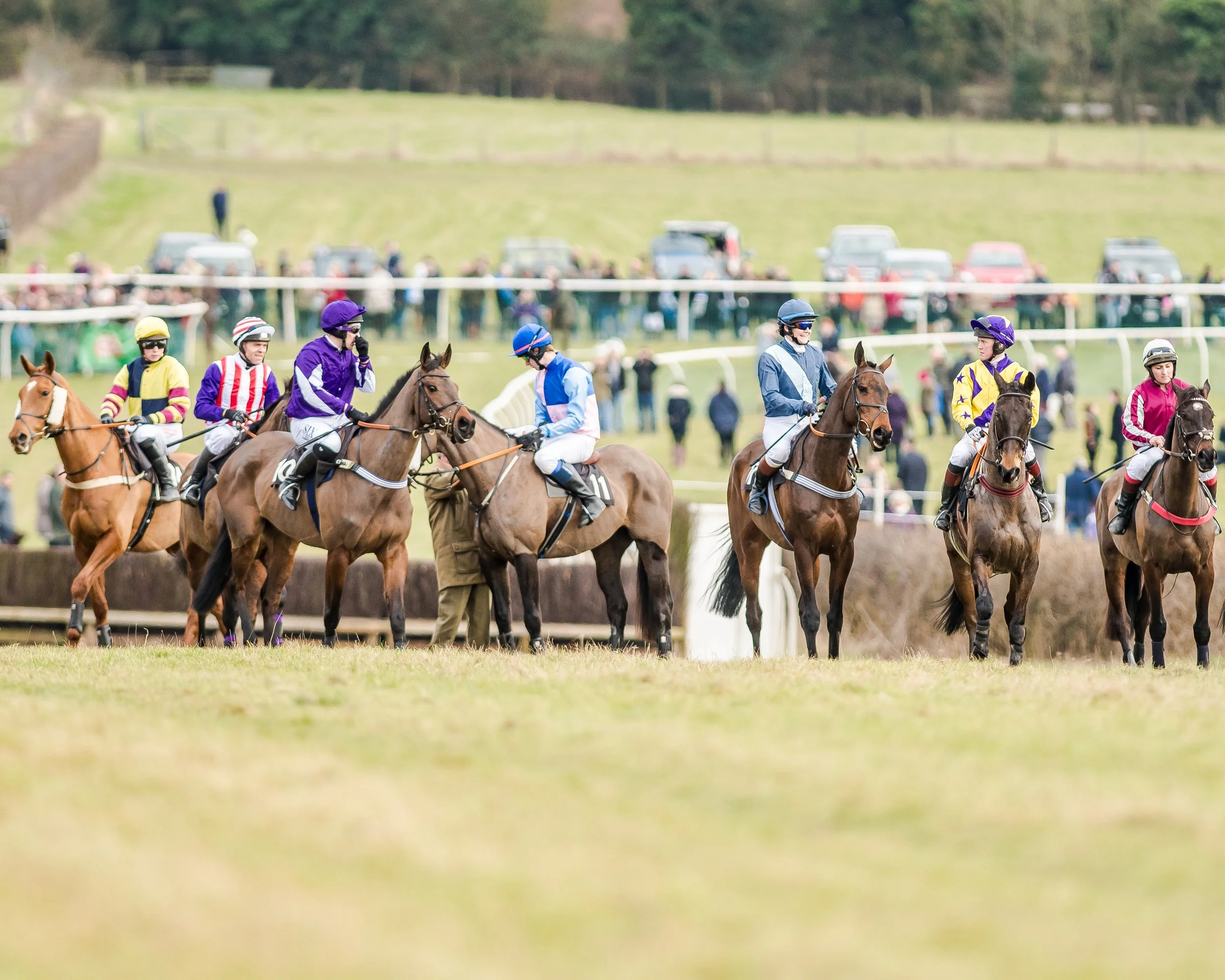 Point-to-Point racing and its role in developing jumpers | Trainer ...