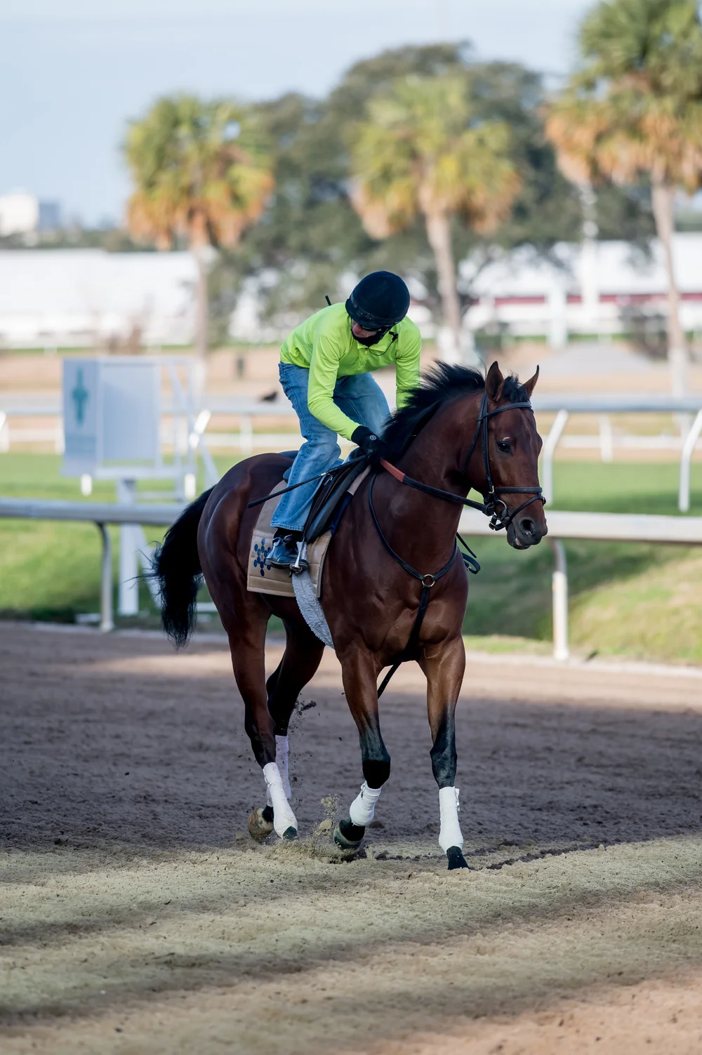 Whit Beckman trainer of Belmont Stakes contender - Honor Marie ...