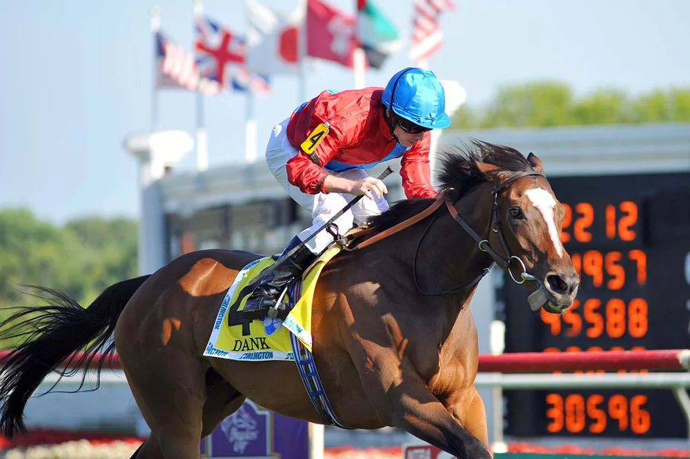 James Wigan | Trainer Magazine | Gd1 Winning Owner Profiles