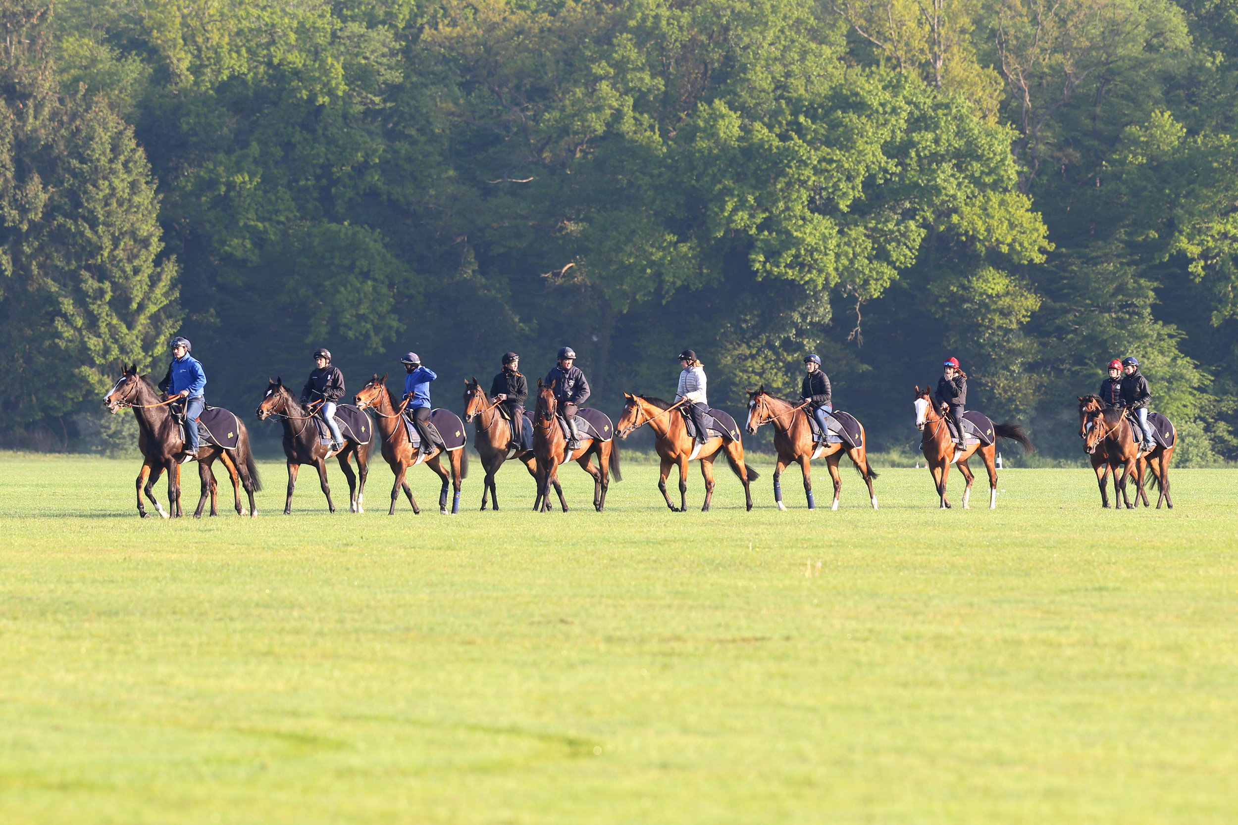 Iconic Gallops of Europe | Trainer Magazine | European Trainer Article ...