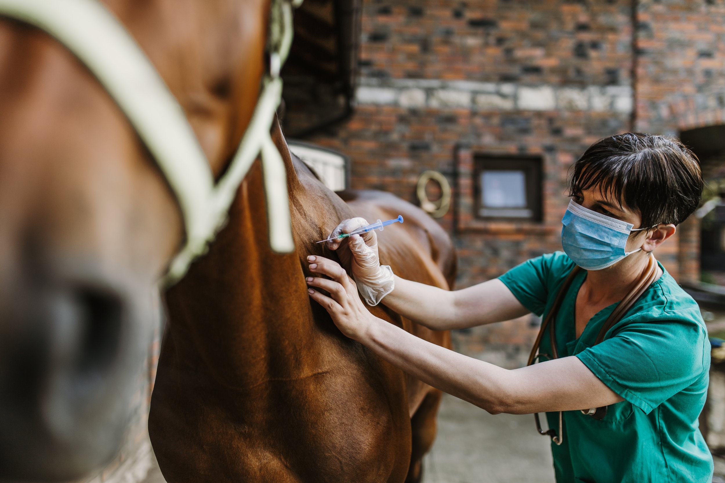 Skin Deep Overcoming Barriers For Effective Transdermal Drug Delivery